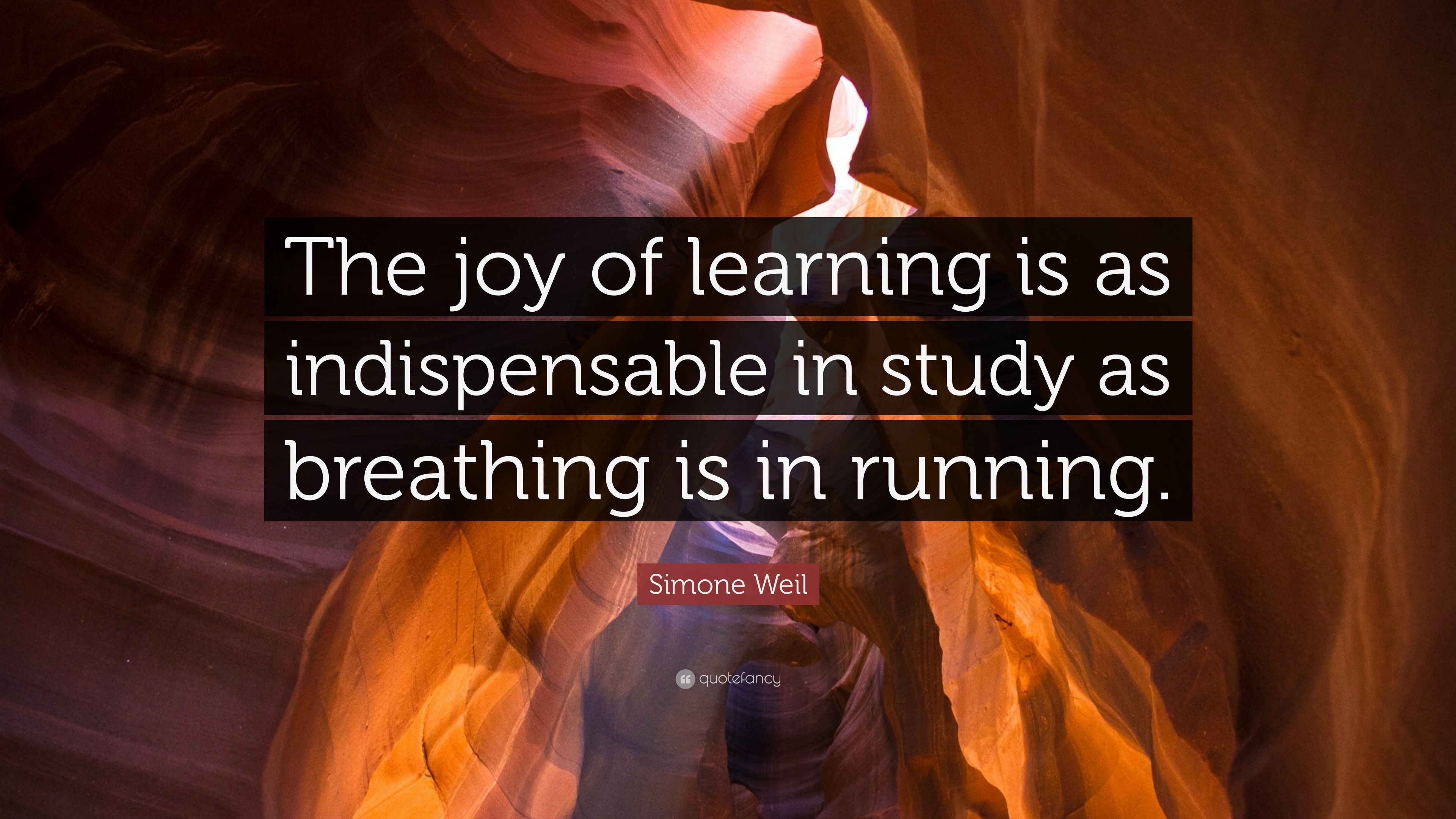 Simone Weil Quote: “The joy of learning is as indispensable in study as ...