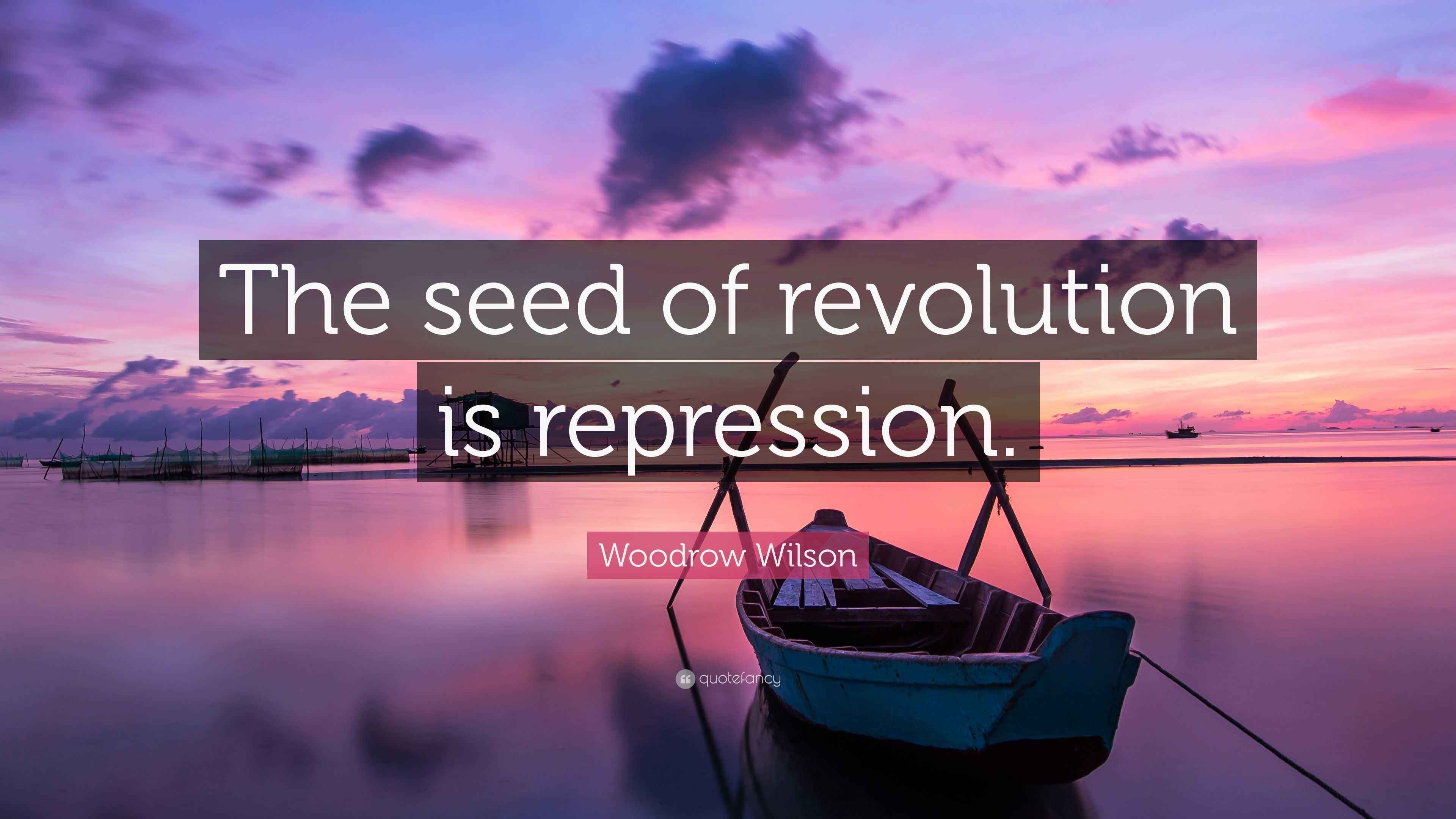 Woodrow Wilson Quote: “The seed of revolution is repression.”