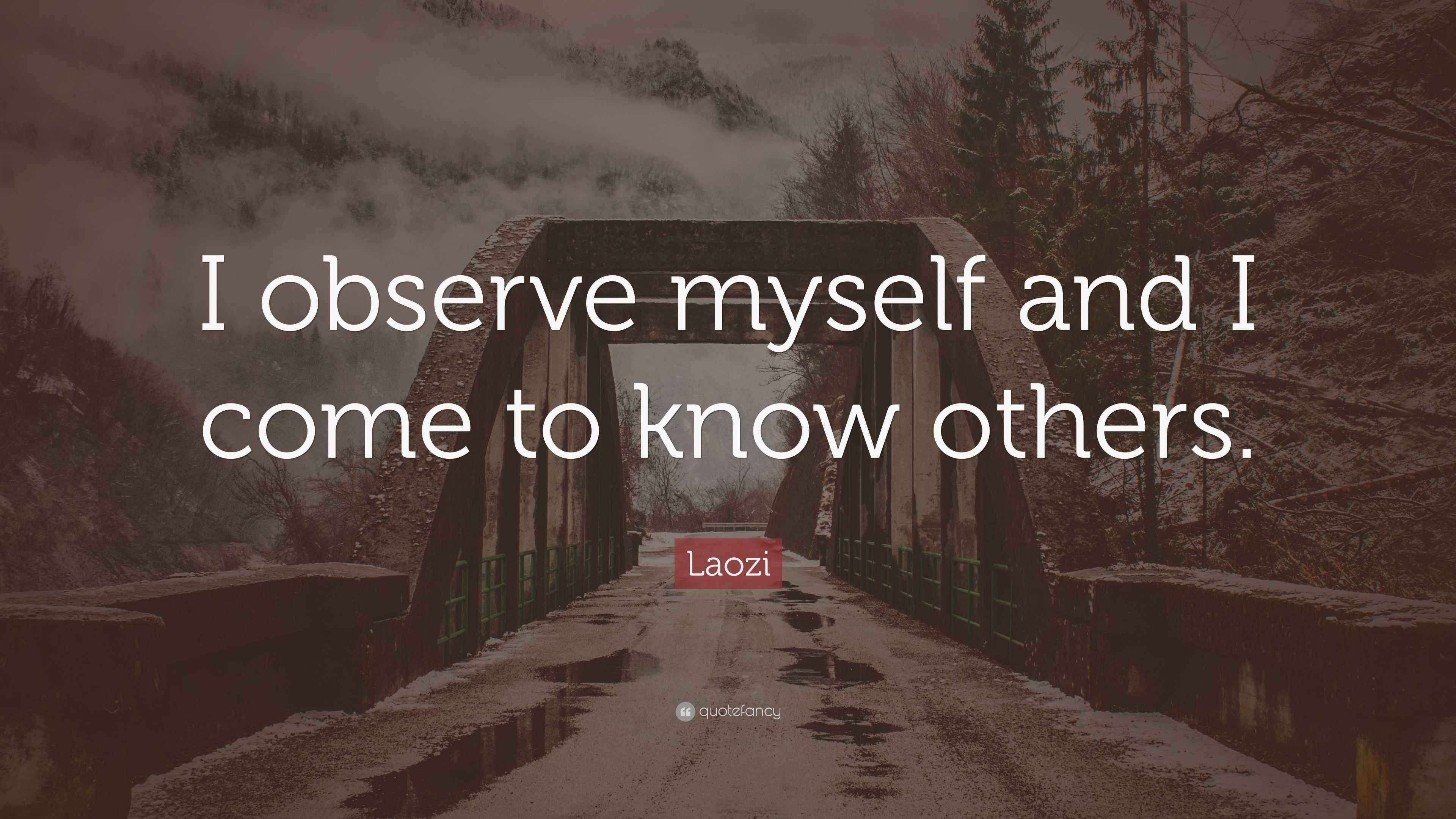 Laozi Quote: “I observe myself and I come to know others.”