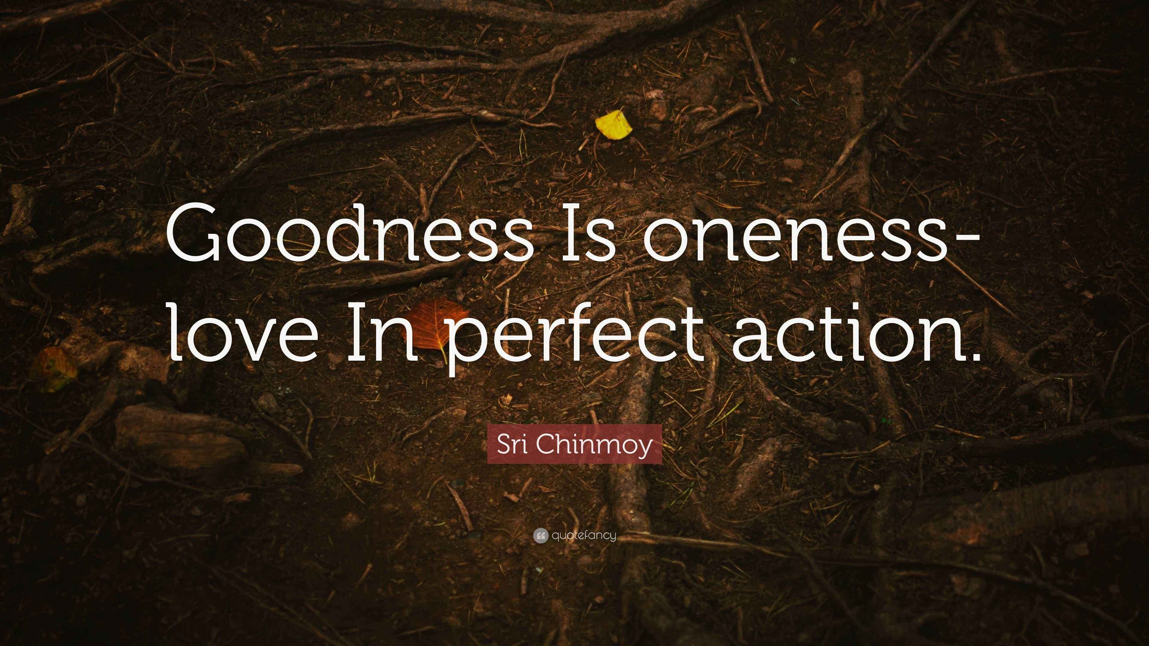 Sri Chinmoy Quote: “Goodness Is oneness-love In perfect action.”