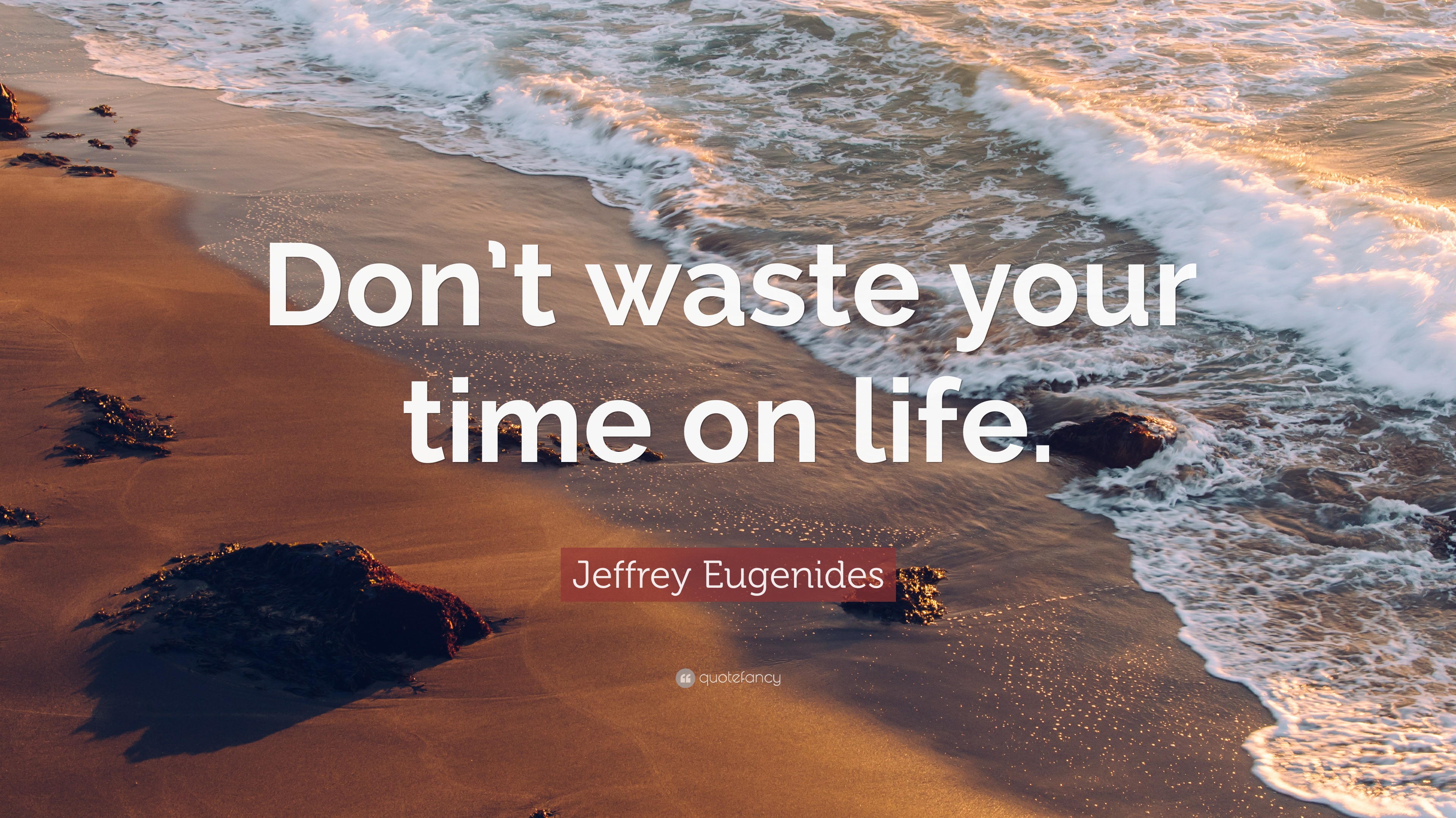 Jeffrey Eugenides Quote: “Don’t waste your time on life.”