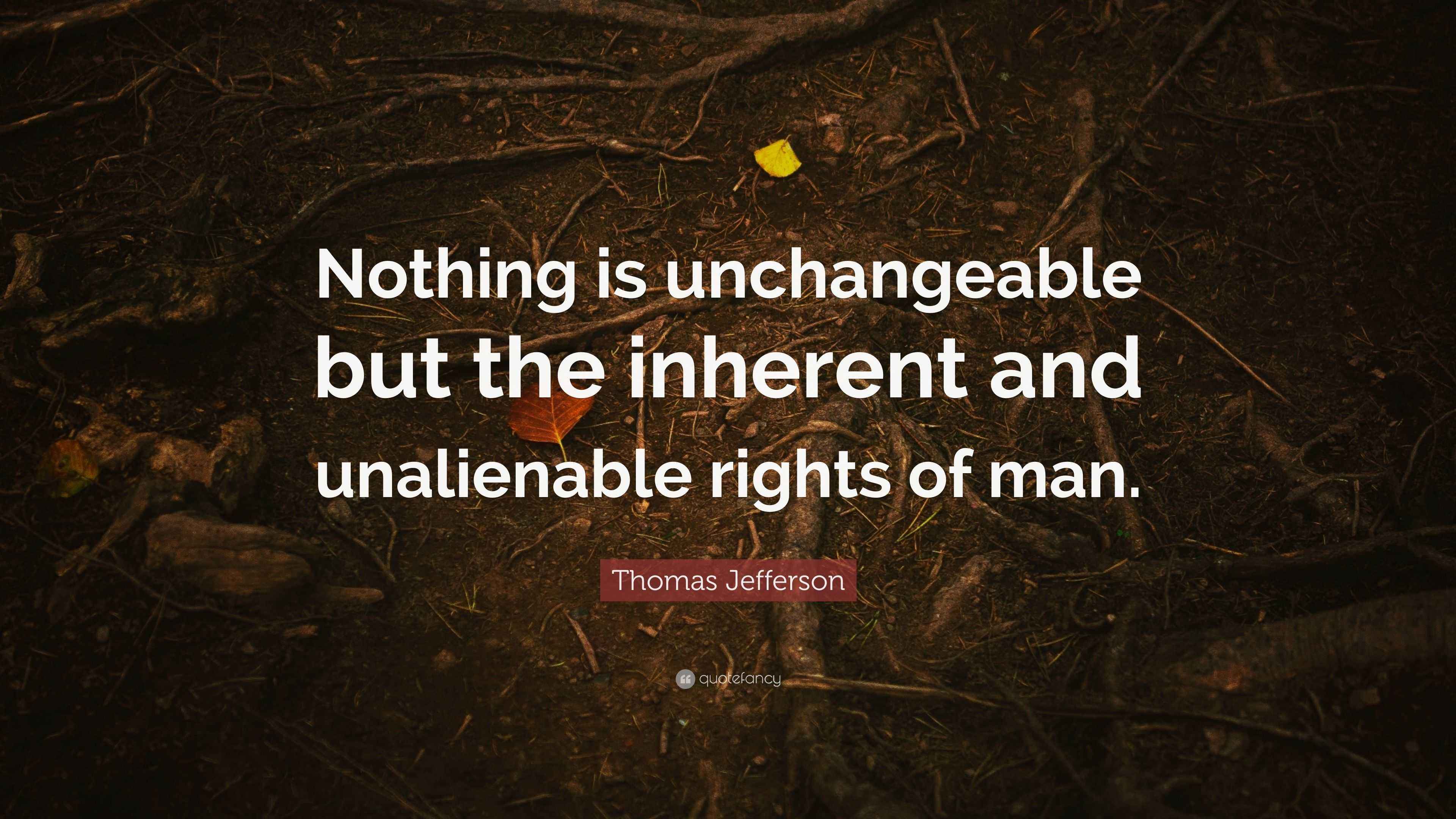 Thomas Jefferson Quote: “Nothing is unchangeable but the inherent and ...