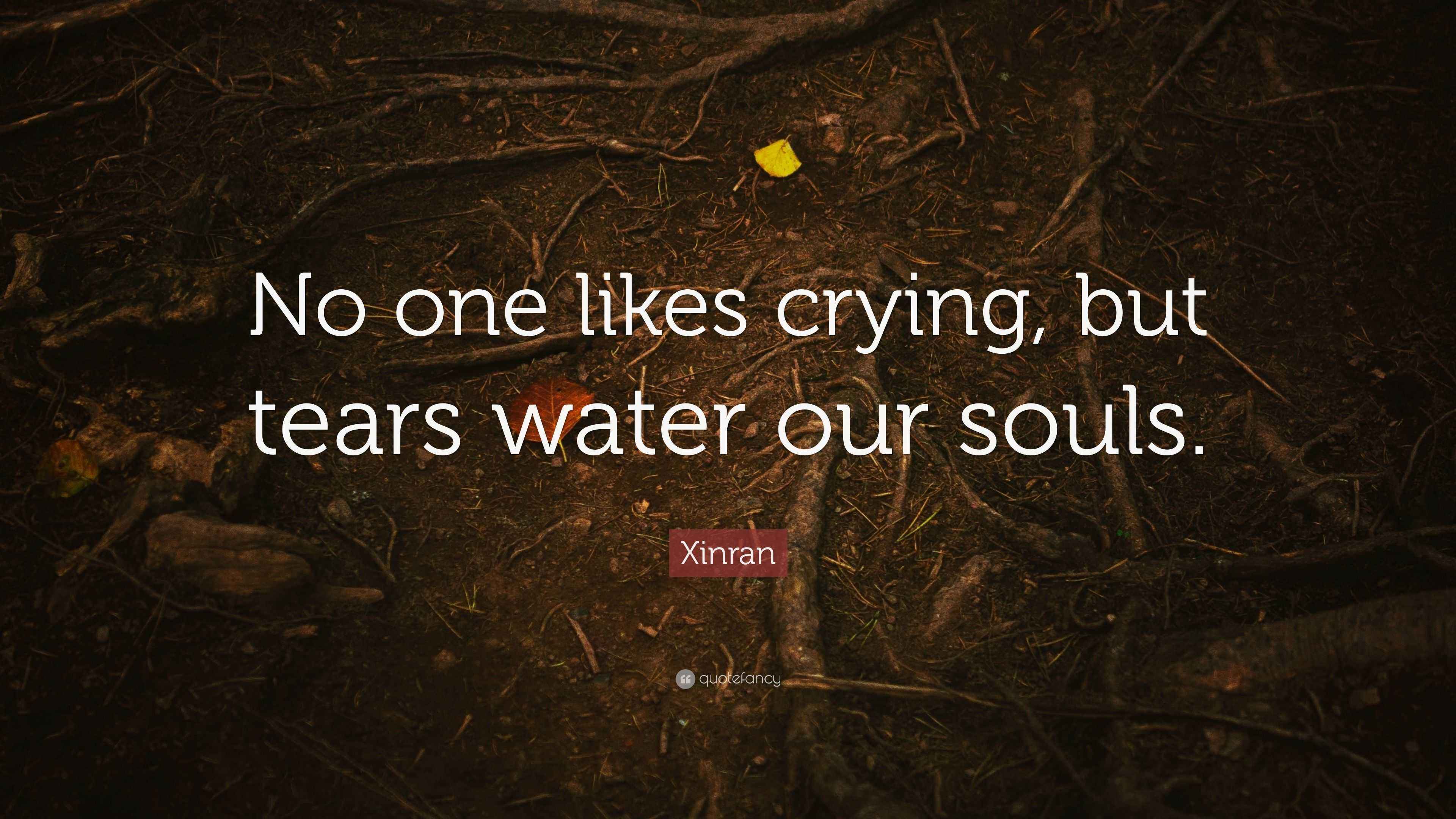Xinran Quote: “No one likes crying, but tears water our souls.”