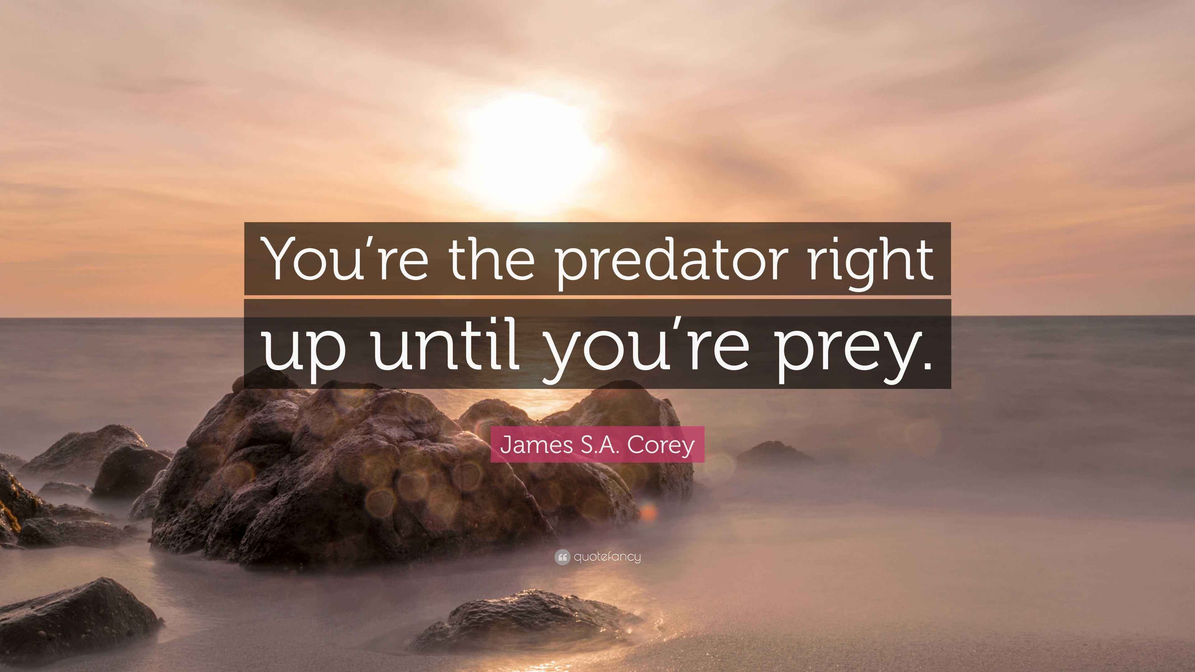 James S.A. Corey Quote: “You’re the predator right up until you’re prey.”