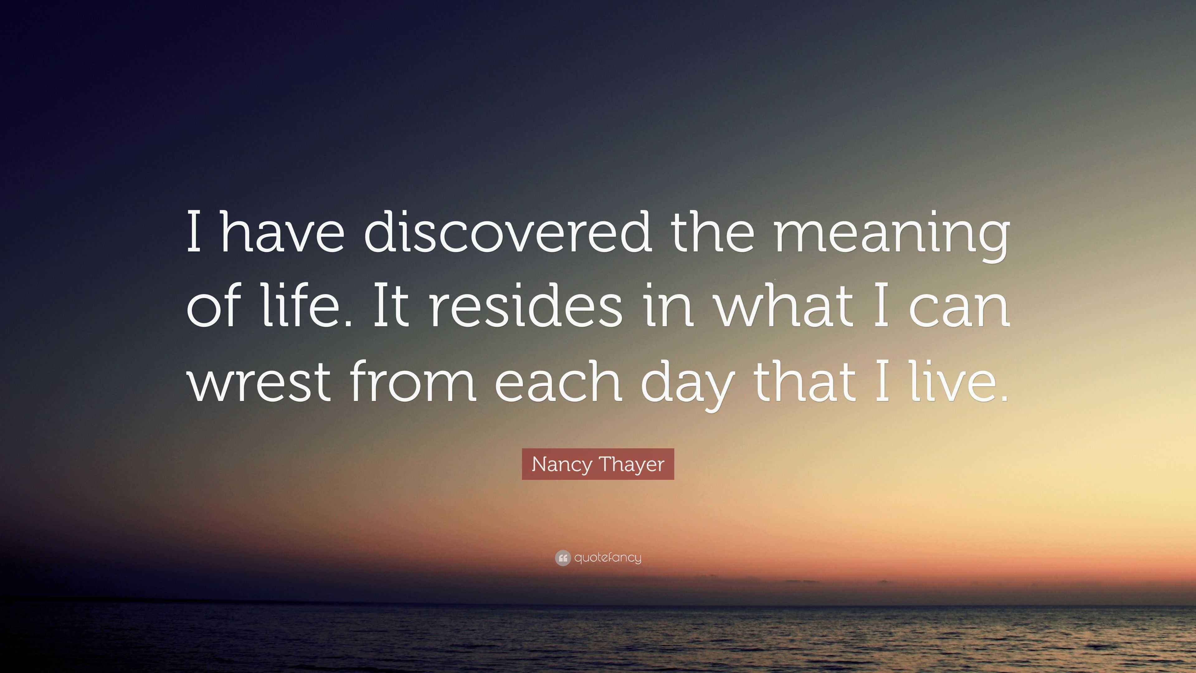 Nancy Thayer Quote: “I have discovered the meaning of life. It resides ...