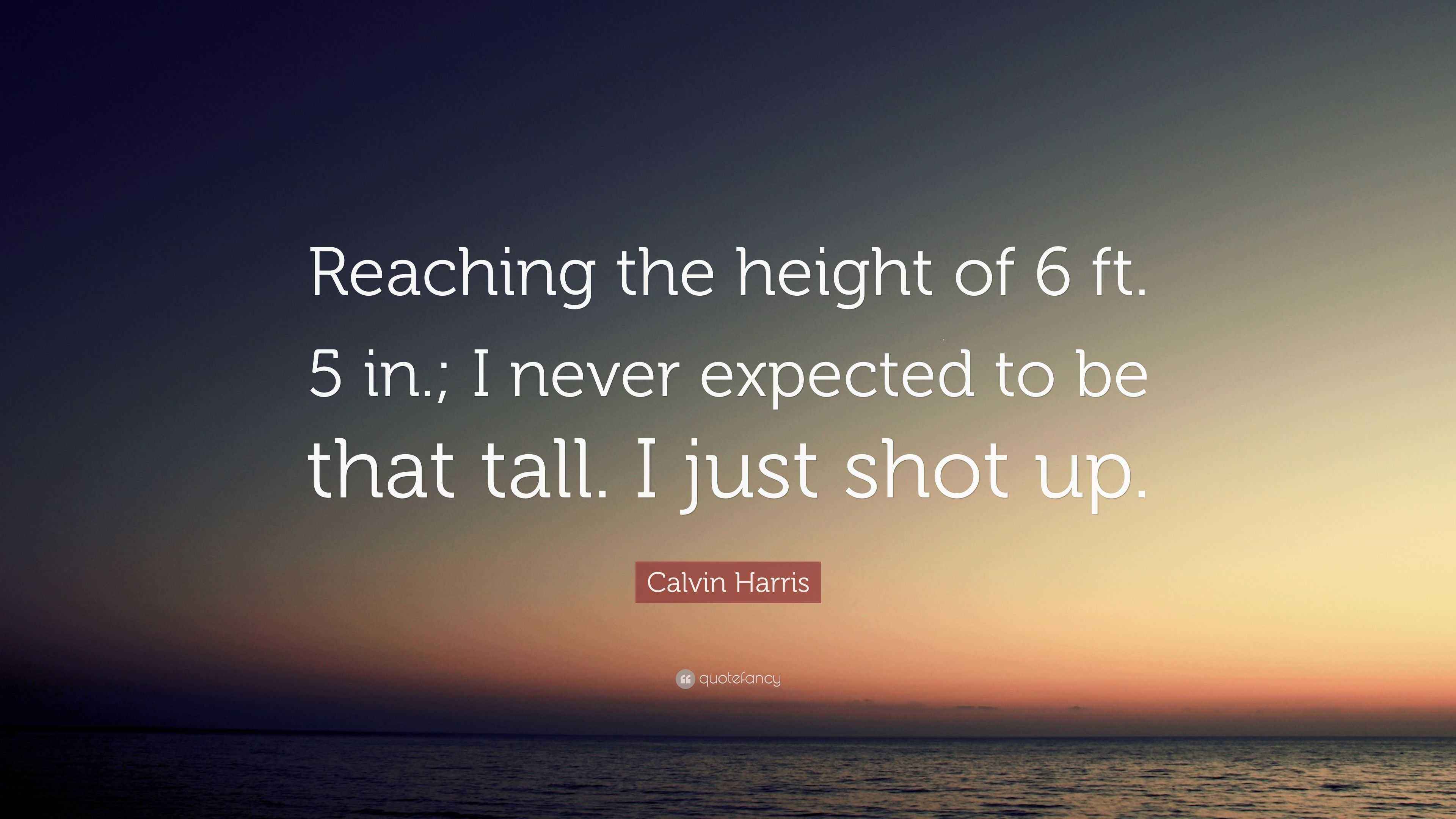 Calvin Harris Quote: “Reaching the height of 6 ft. 5 in.; I never ...