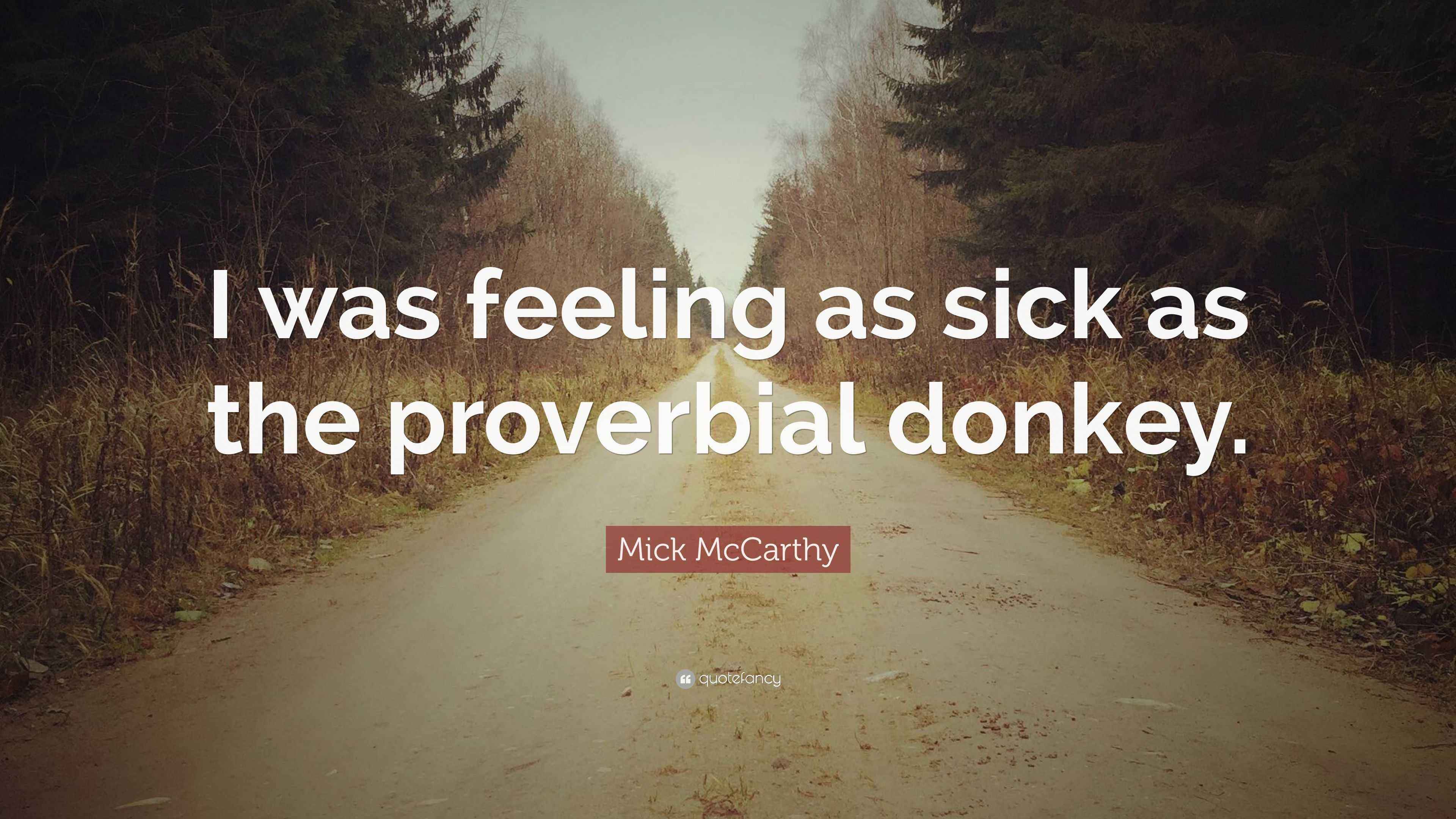 Mick McCarthy Quote: “I was feeling as sick as the proverbial donkey.”