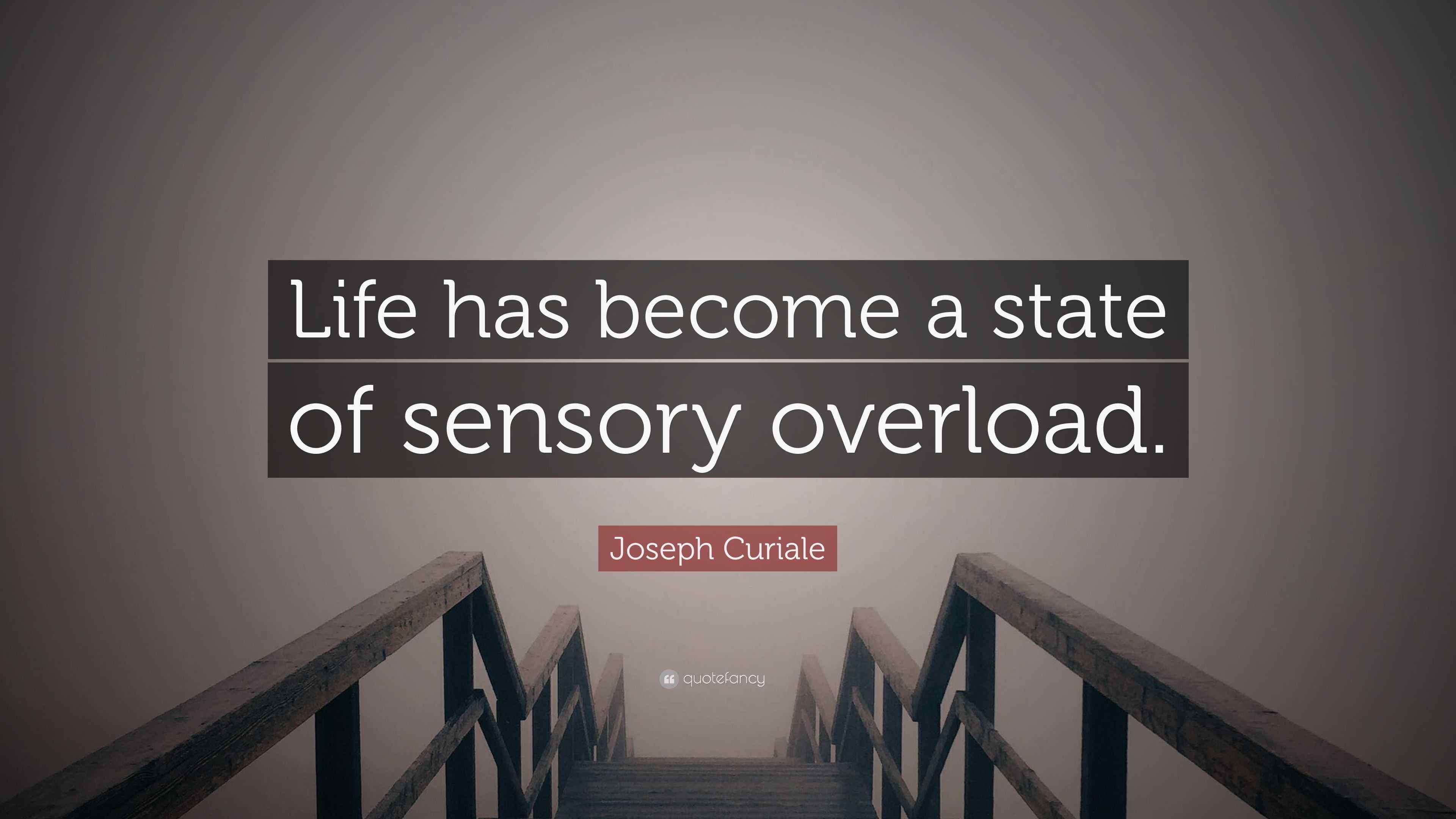Joseph Curiale Quote: “Life has become a state of sensory overload.”