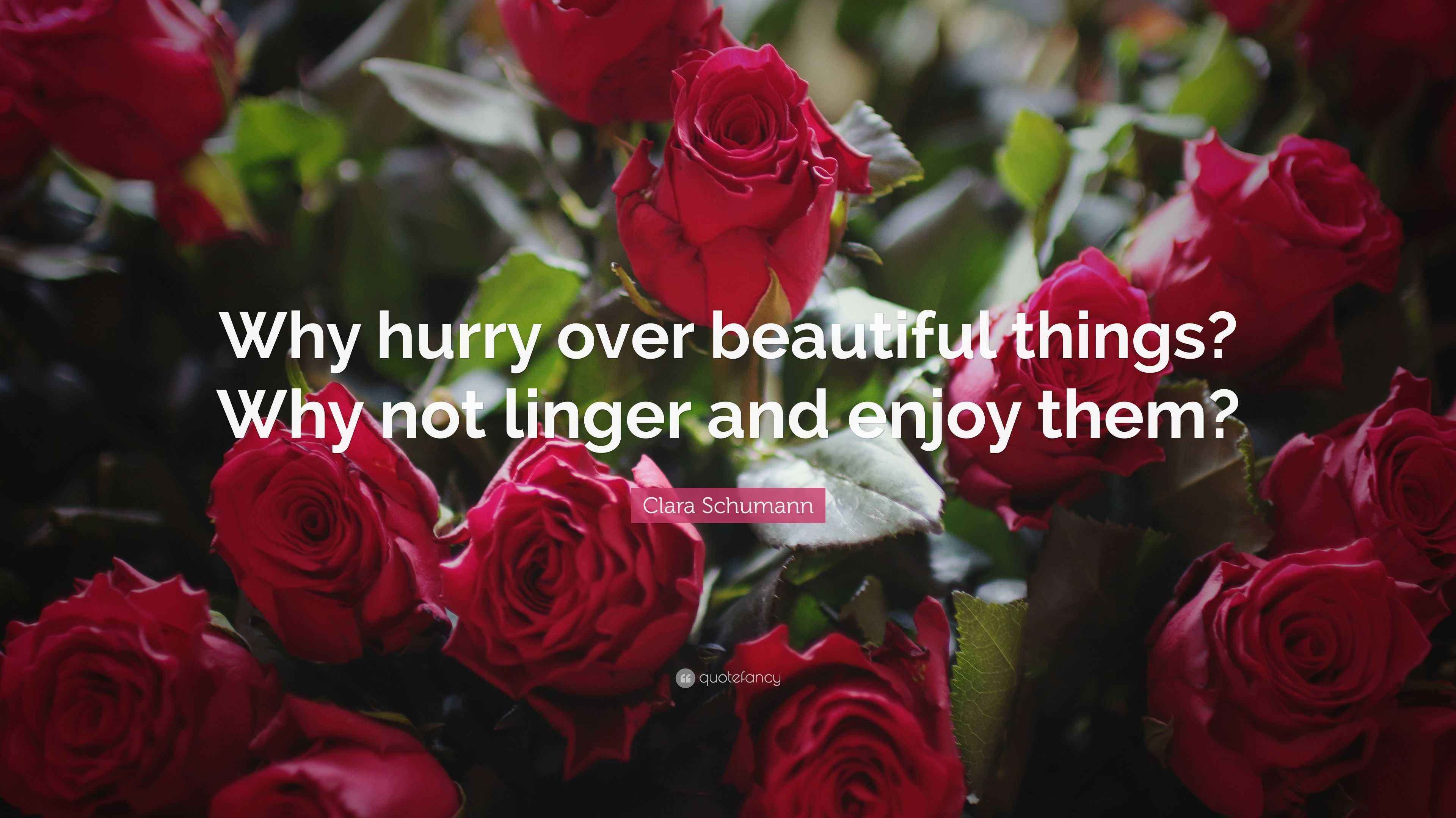 Clara Schumann Quote: “Why hurry over beautiful things? Why not linger ...