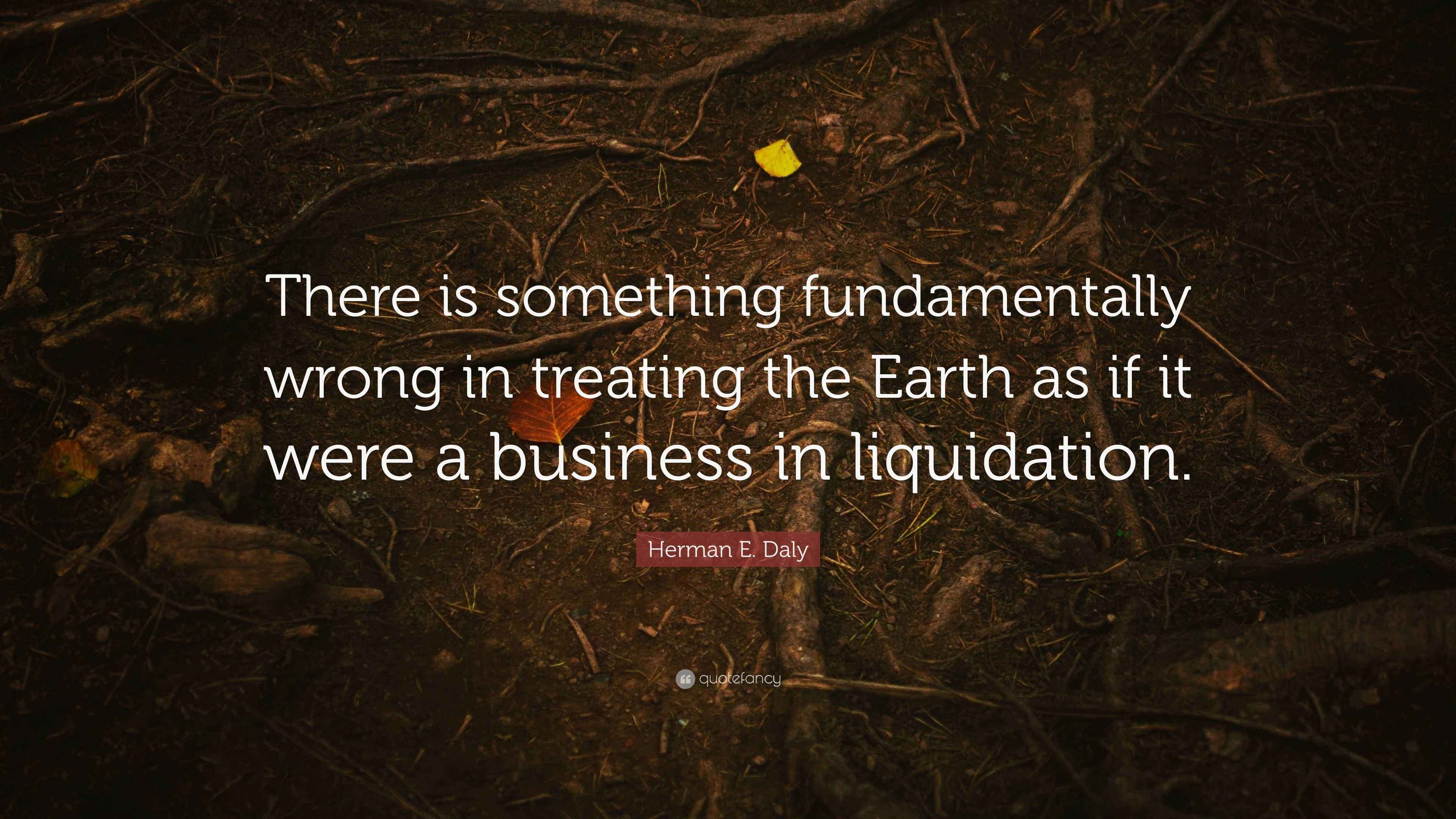 Herman E. Daly Quote: “There is something fundamentally wrong in ...
