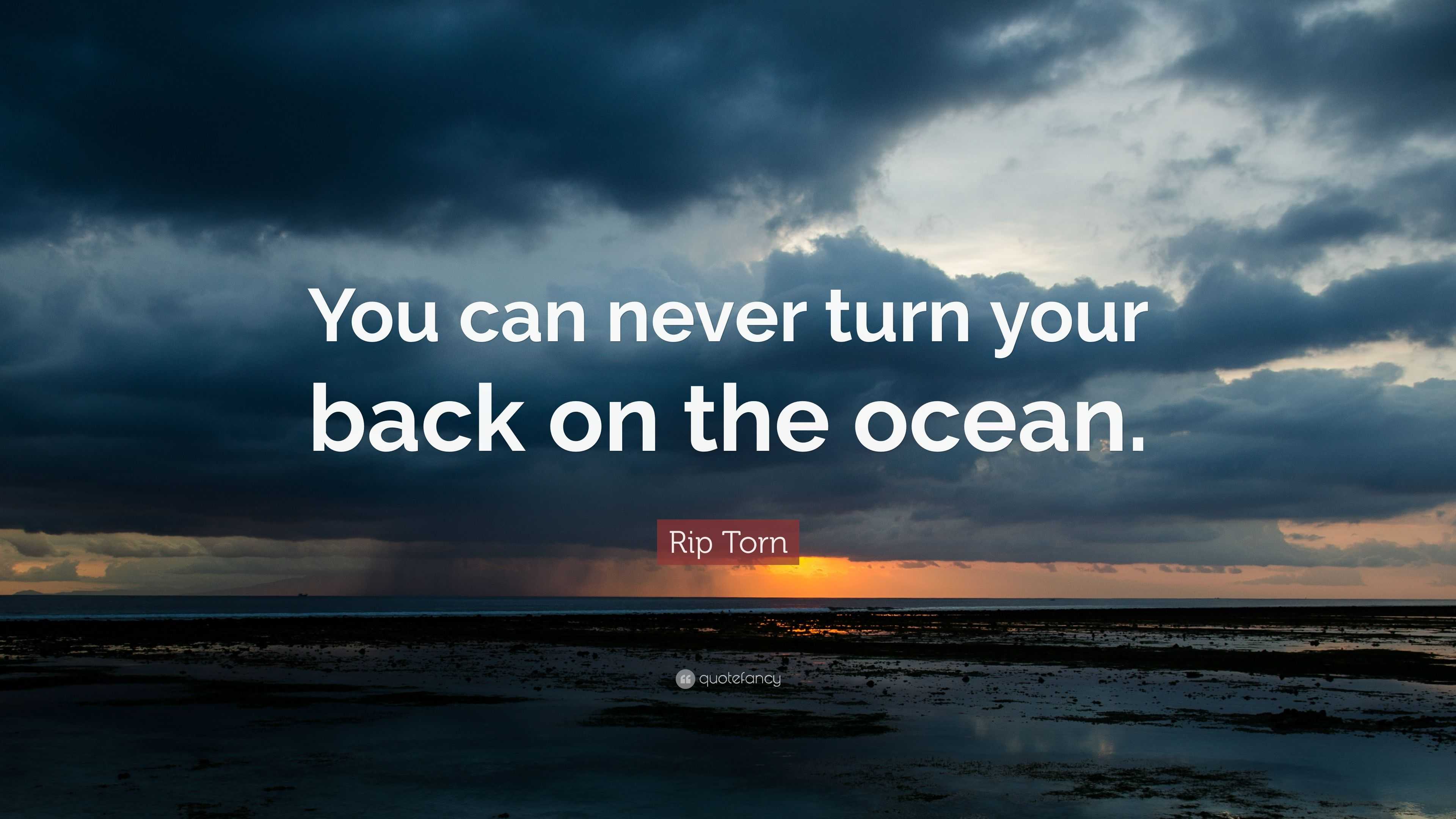 Rip Torn Quote: “You can never turn your back on the ocean.”
