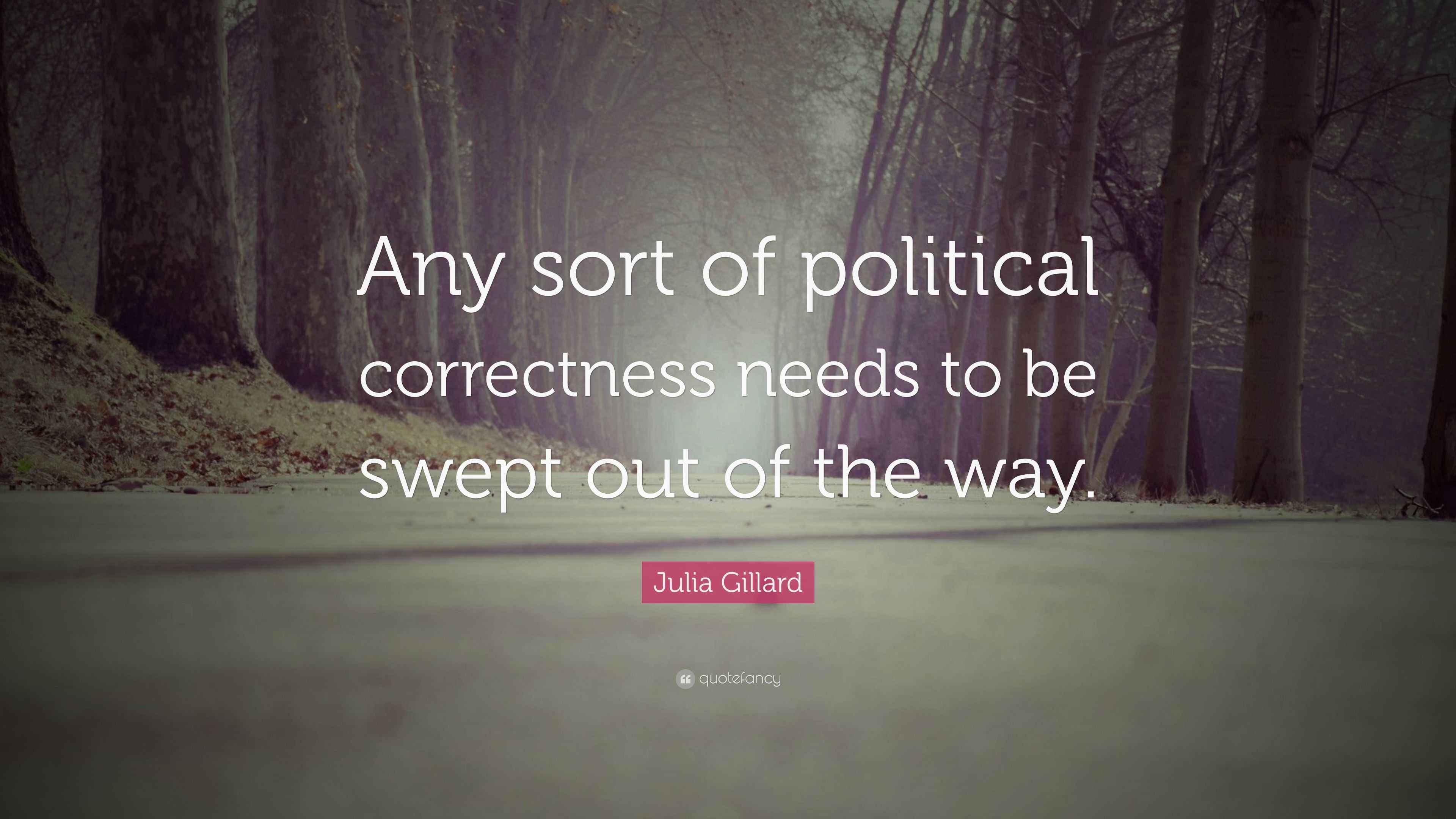 Julia Gillard Quote: “Any sort of political correctness needs to be ...