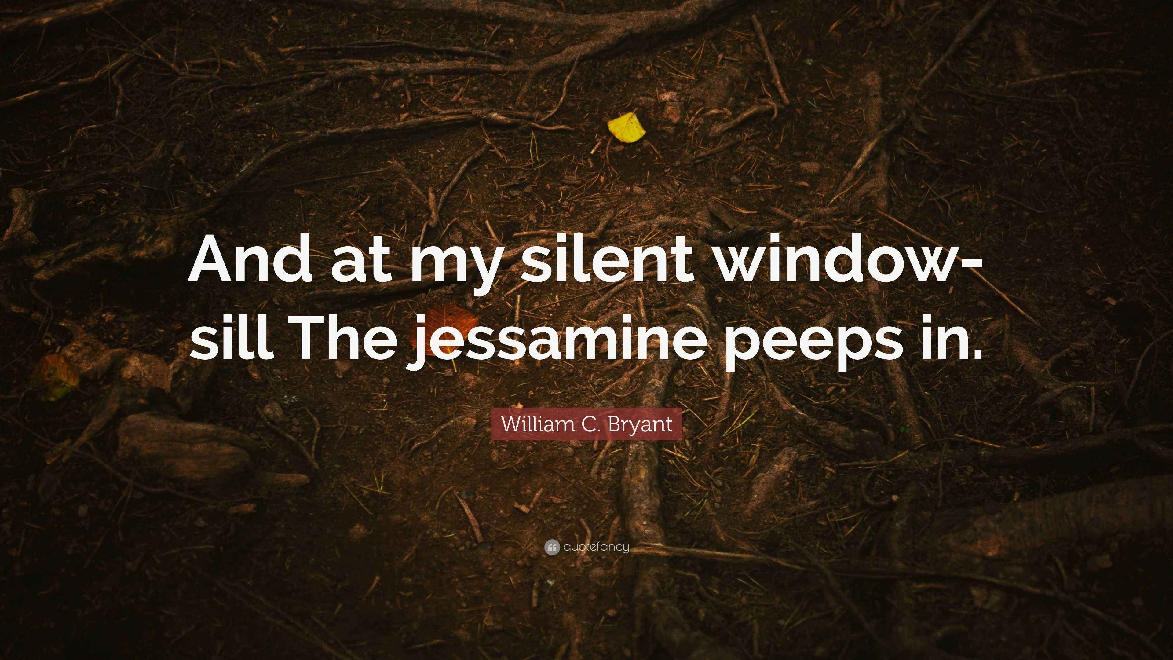 William C. Bryant Quote: “And at my silent window-sill The jessamine ...