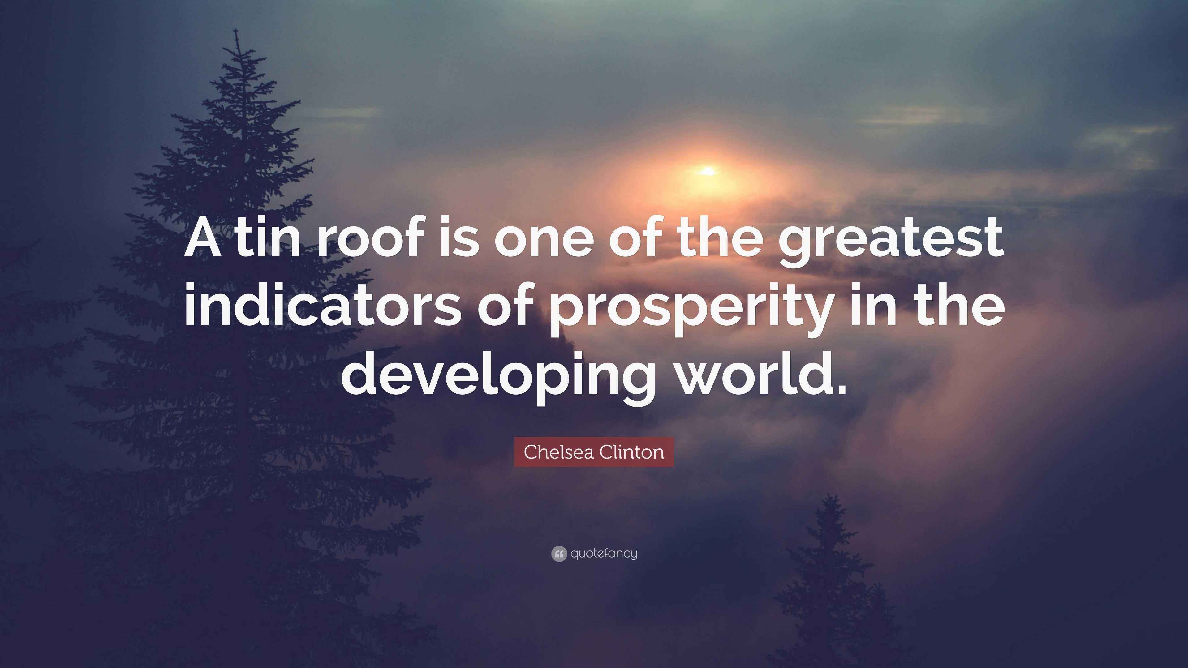 Chelsea Clinton Quote: “A tin roof is one of the greatest indicators of ...
