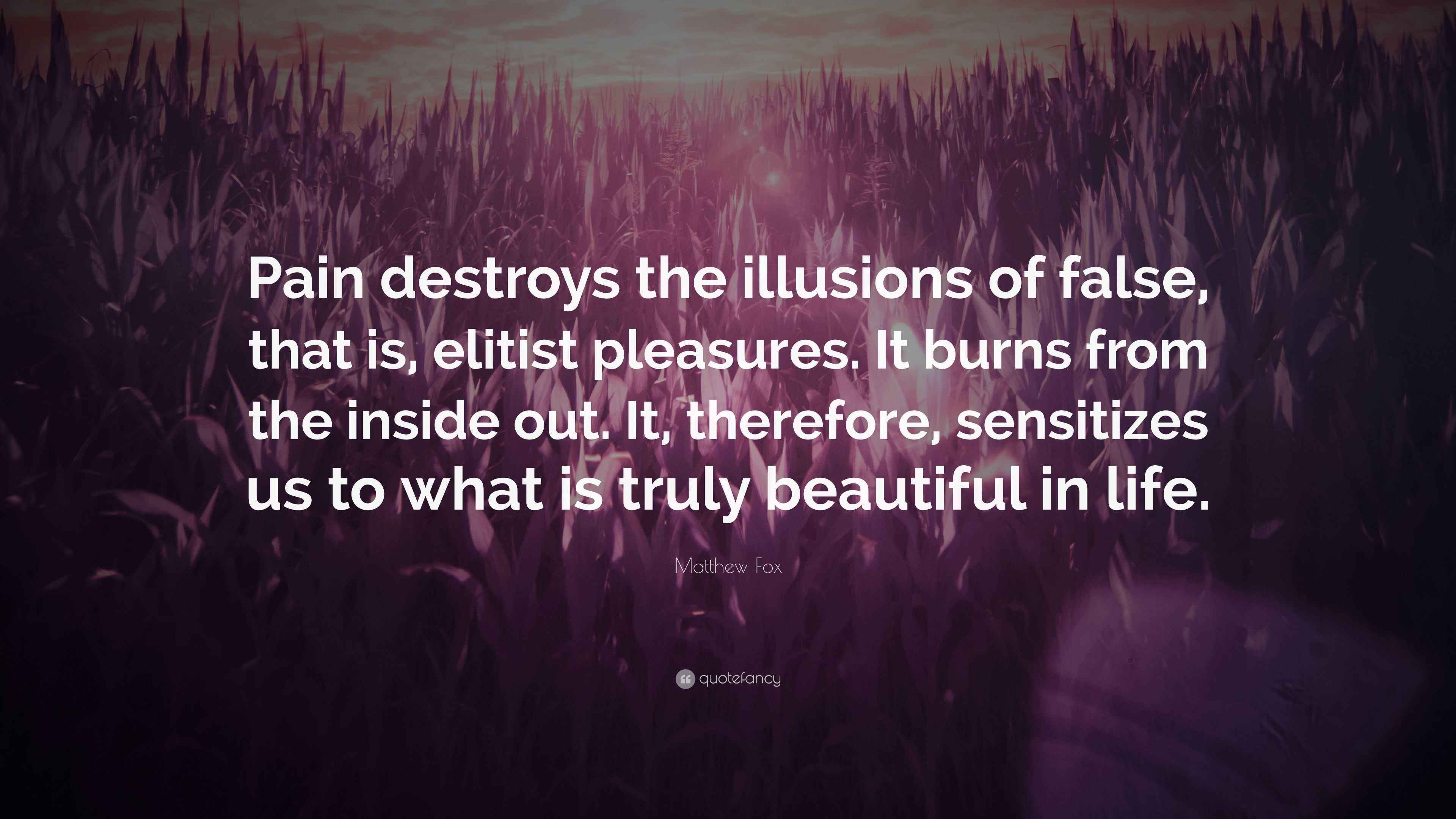 Matthew Fox Quote: “Pain destroys the illusions of false, that is ...