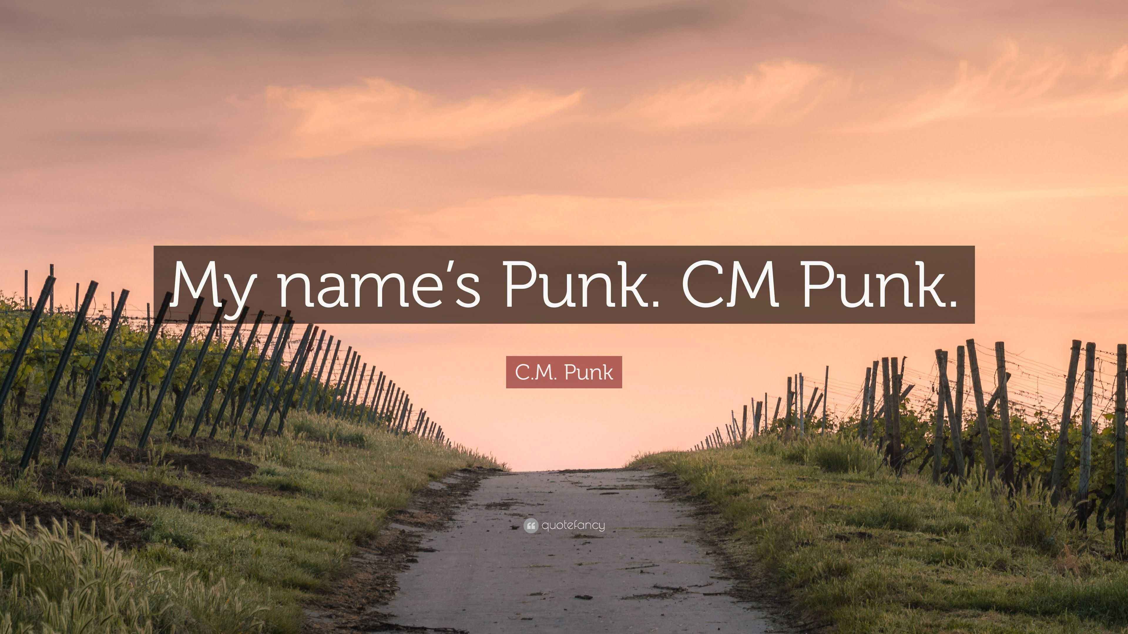 C.M. Punk Quote: “My name’s Punk. CM Punk.”