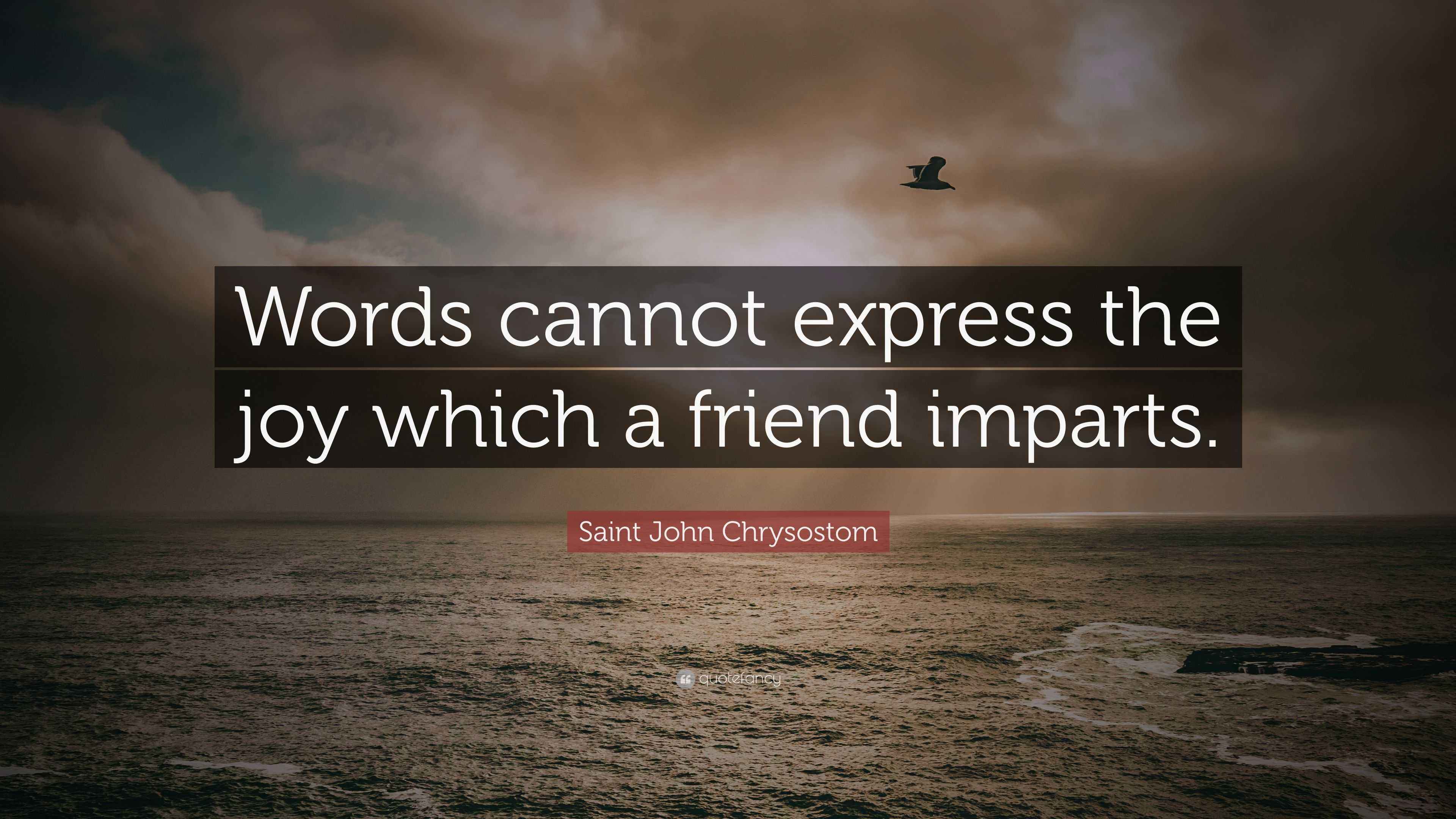 Saint John Chrysostom Quote: “Words cannot express the joy which a ...
