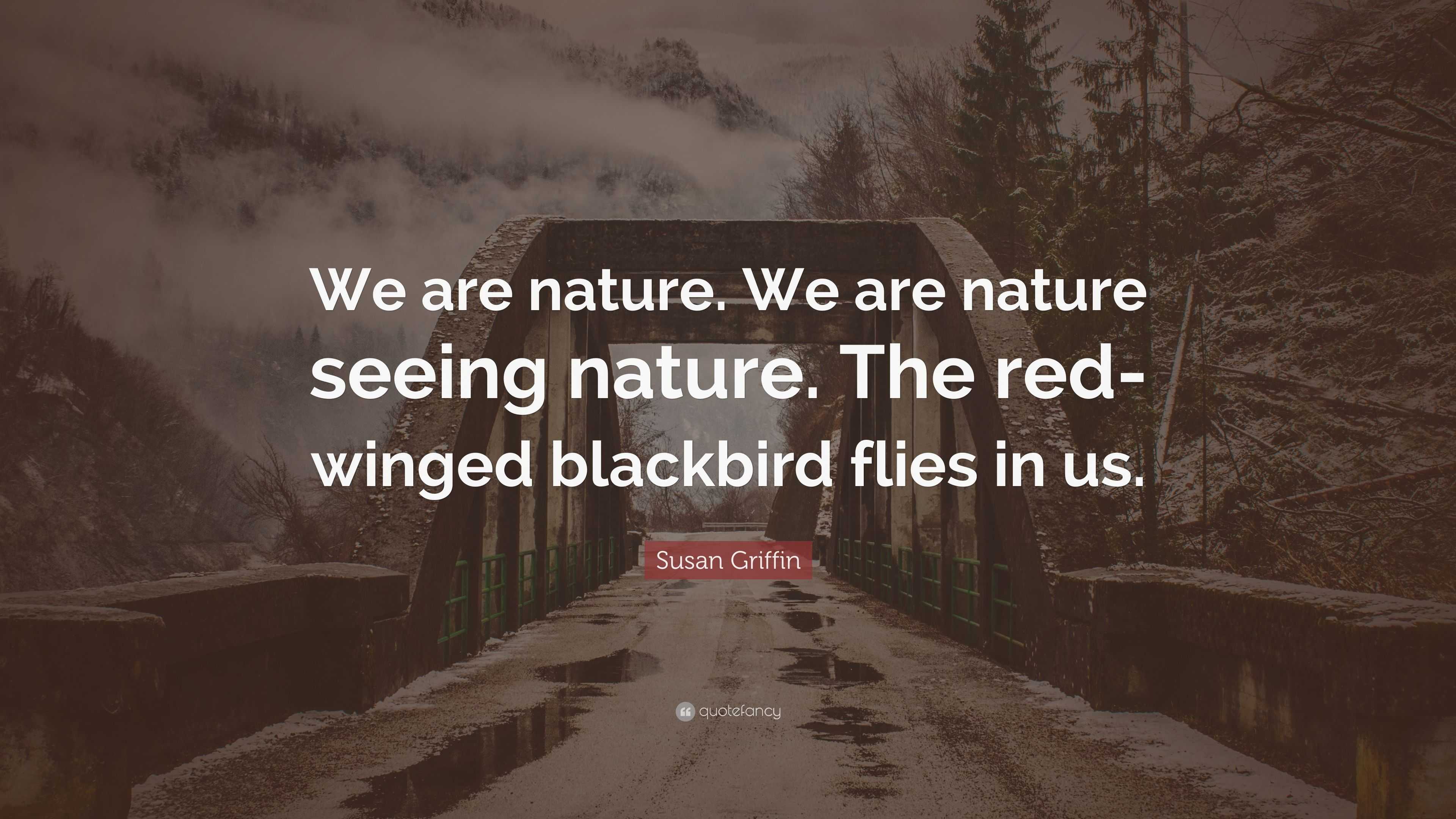 Susan Griffin Quote: “We are nature. We are nature seeing nature. The ...