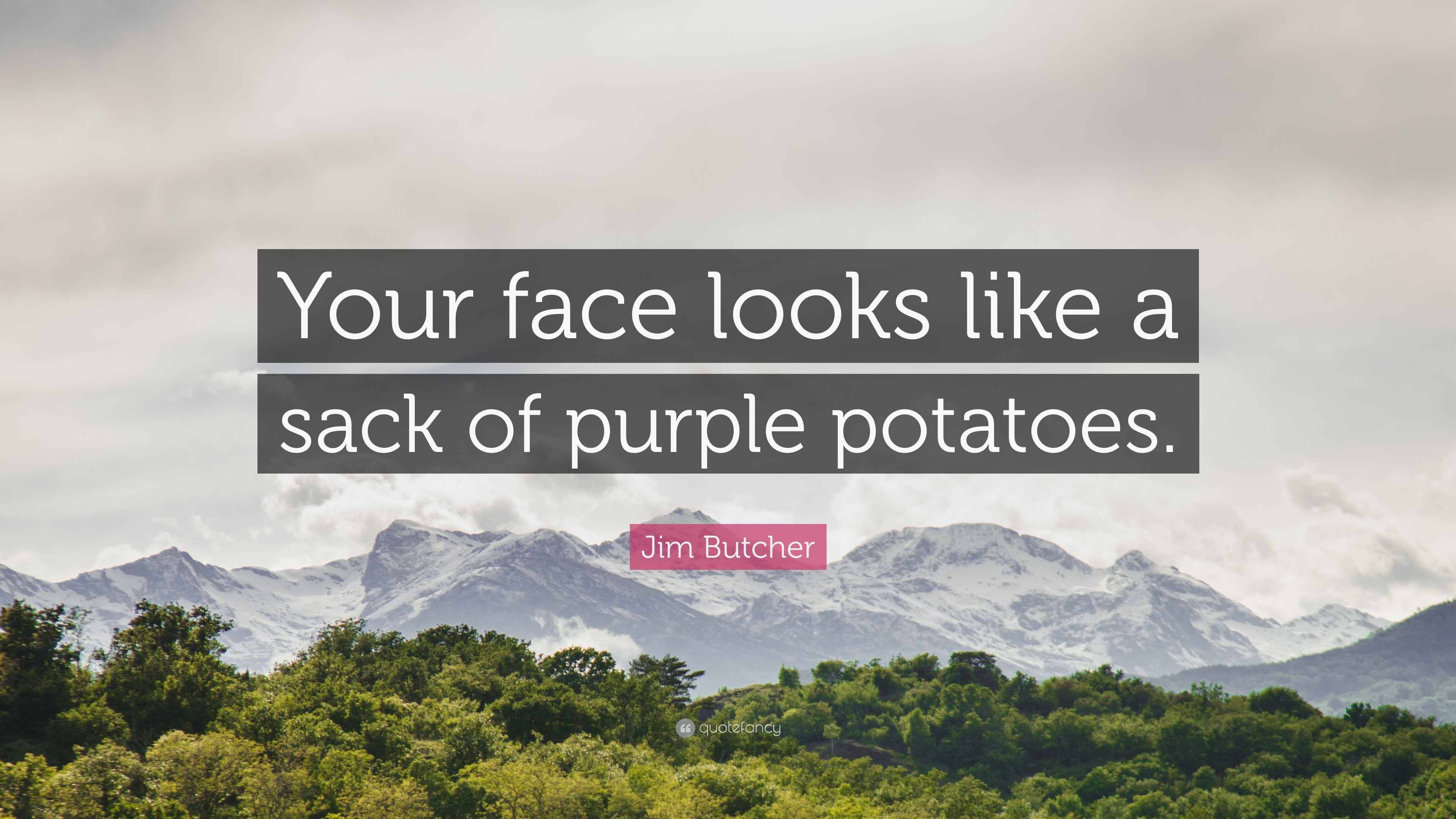 Jim Butcher Quote: “Your face looks like a sack of purple potatoes.”