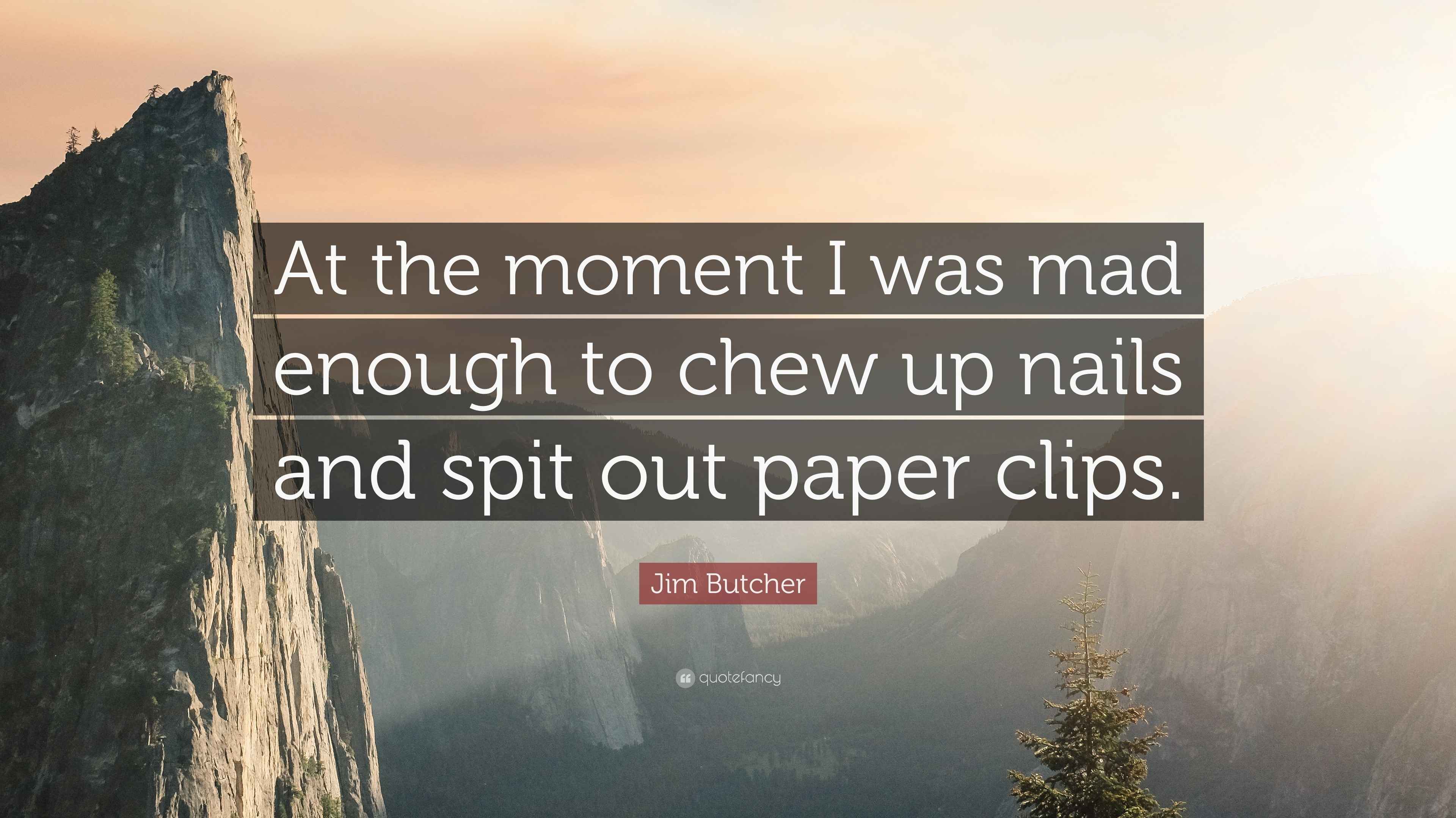 Jim Butcher Quote: “At the moment I was mad enough to chew up nails and ...