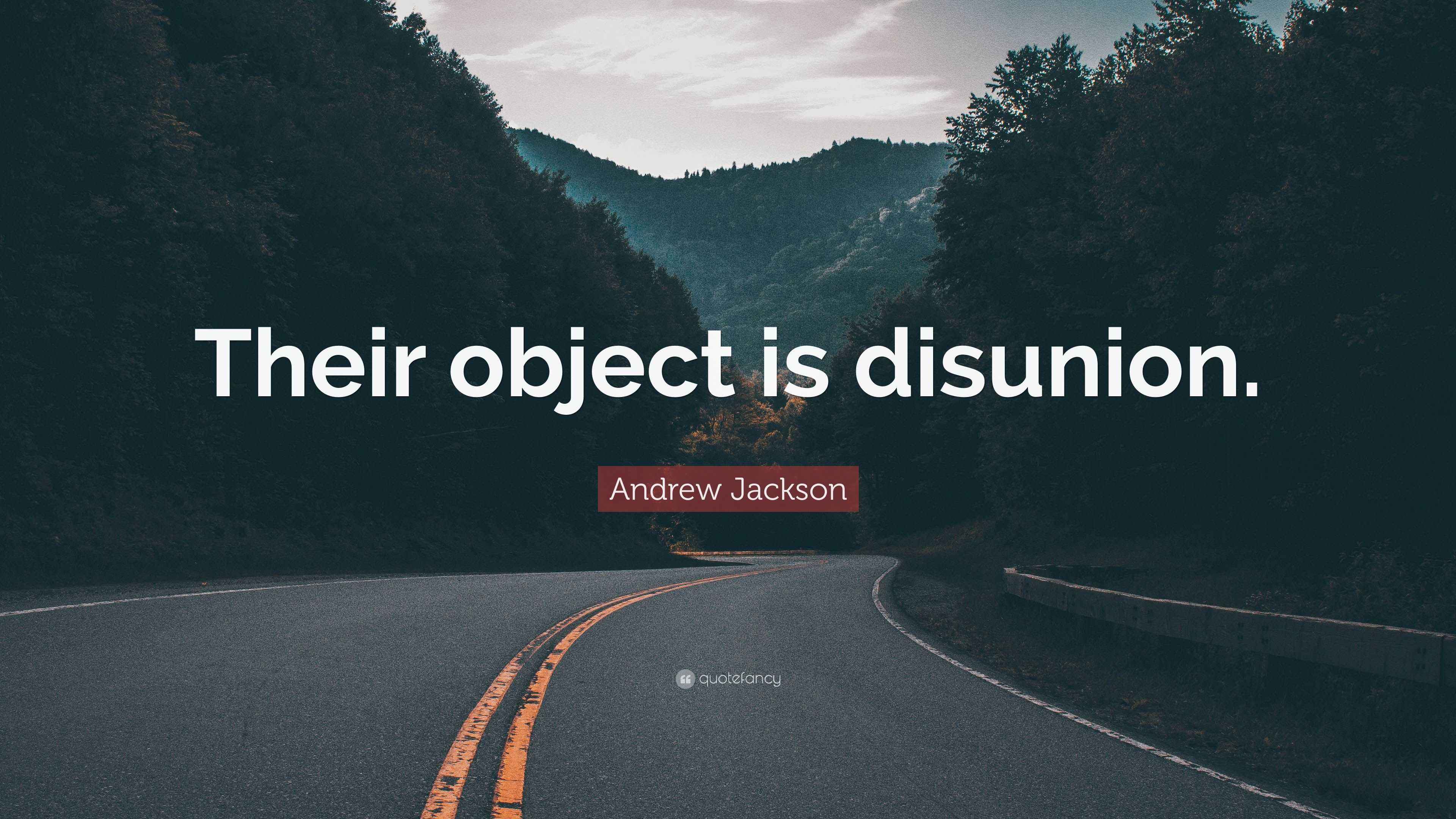 Andrew Jackson Quote: “Their object is disunion.”