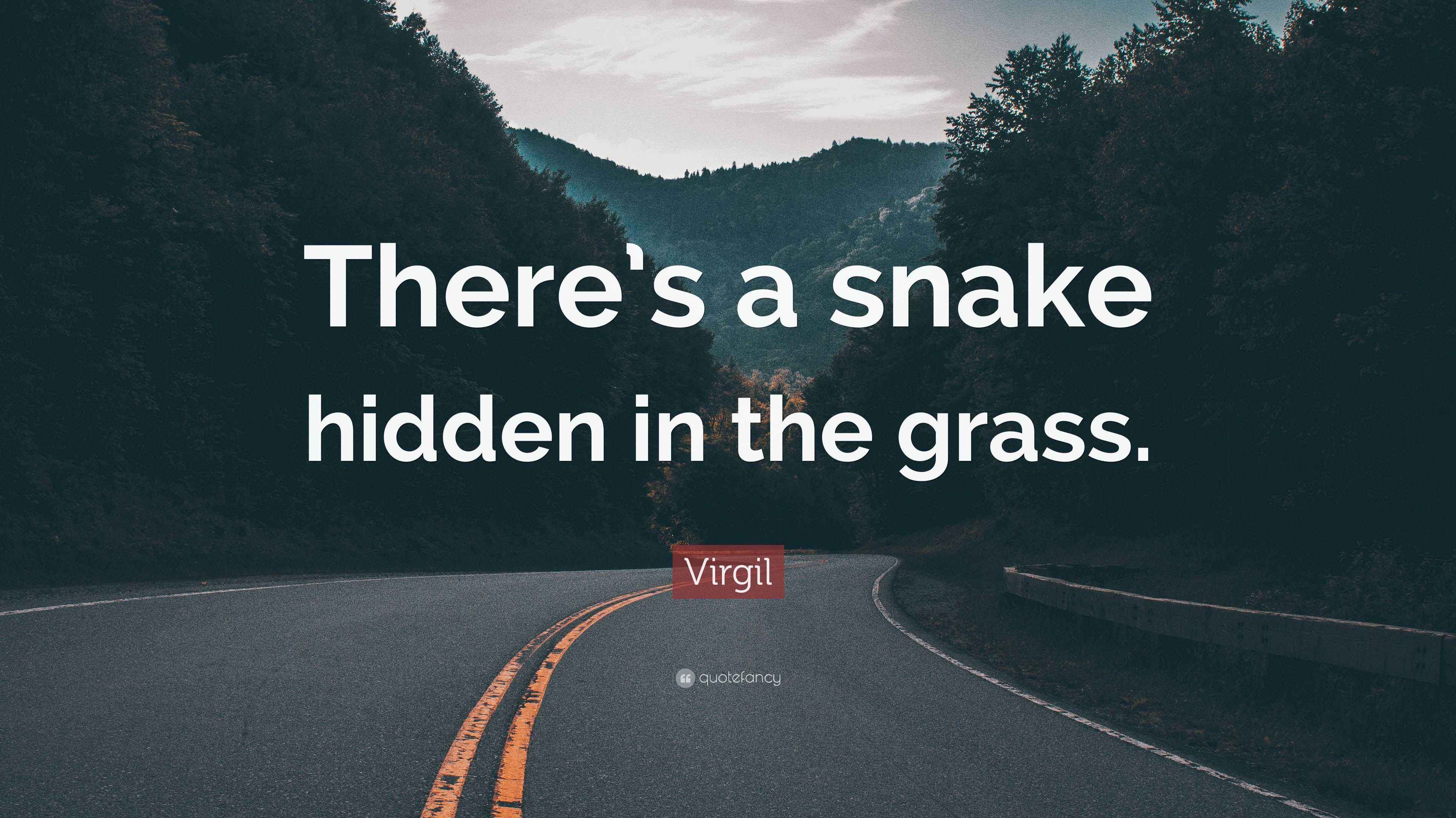 Virgil Quote: “There’s a snake hidden in the grass.”