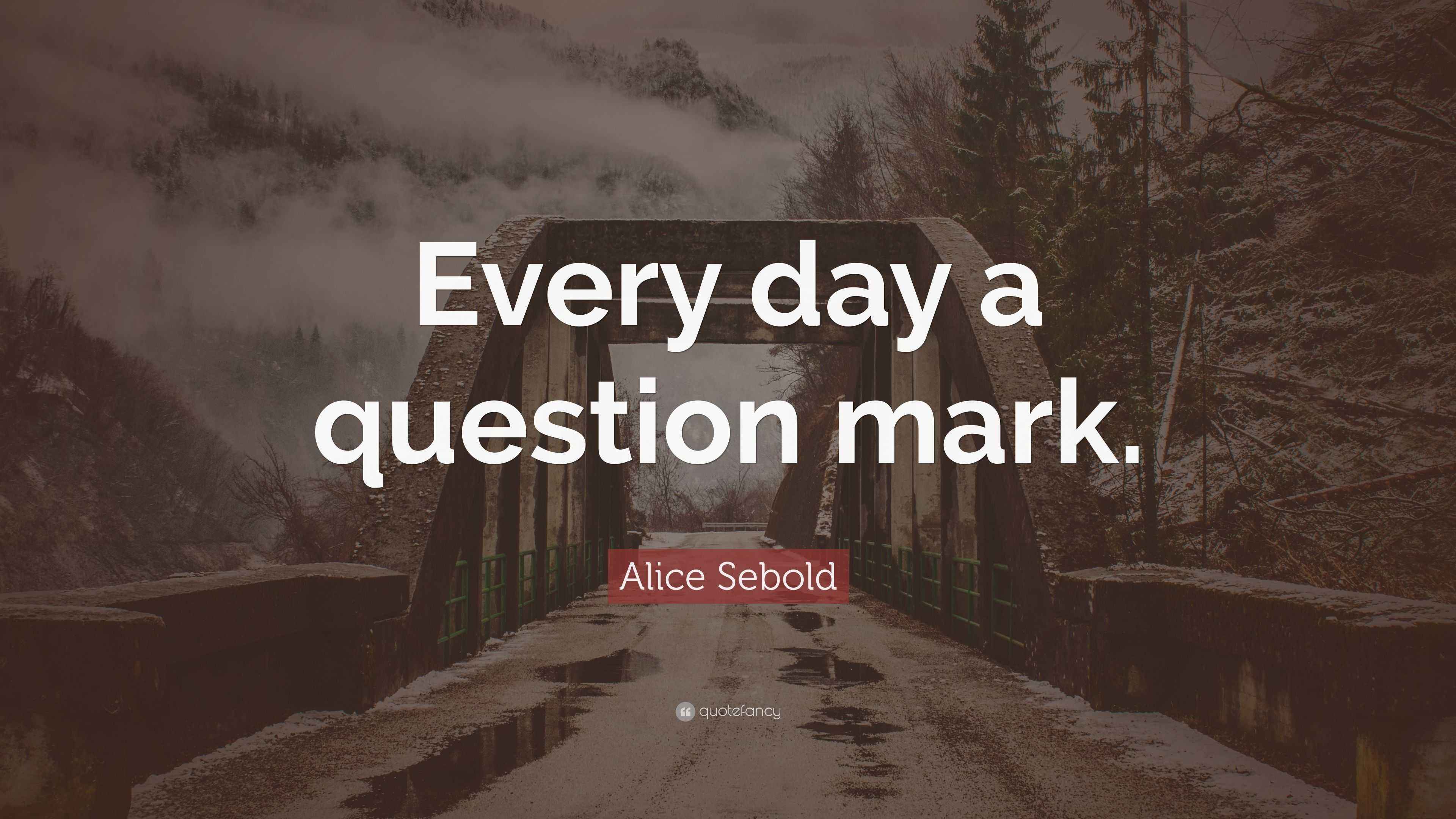 Alice Sebold Quote: “Every day a question mark.”