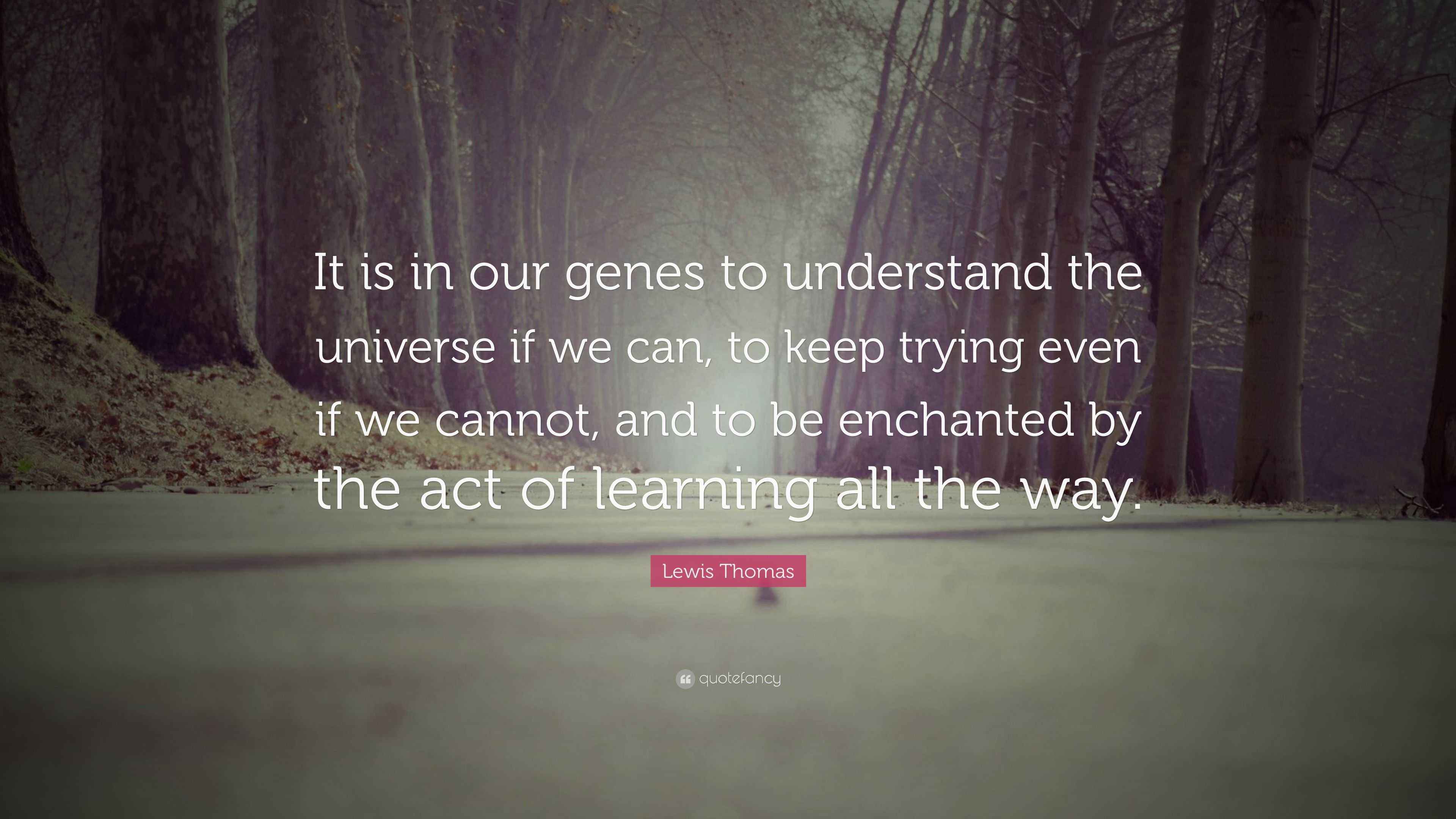 Lewis Thomas Quote: “It is in our genes to understand the universe if ...