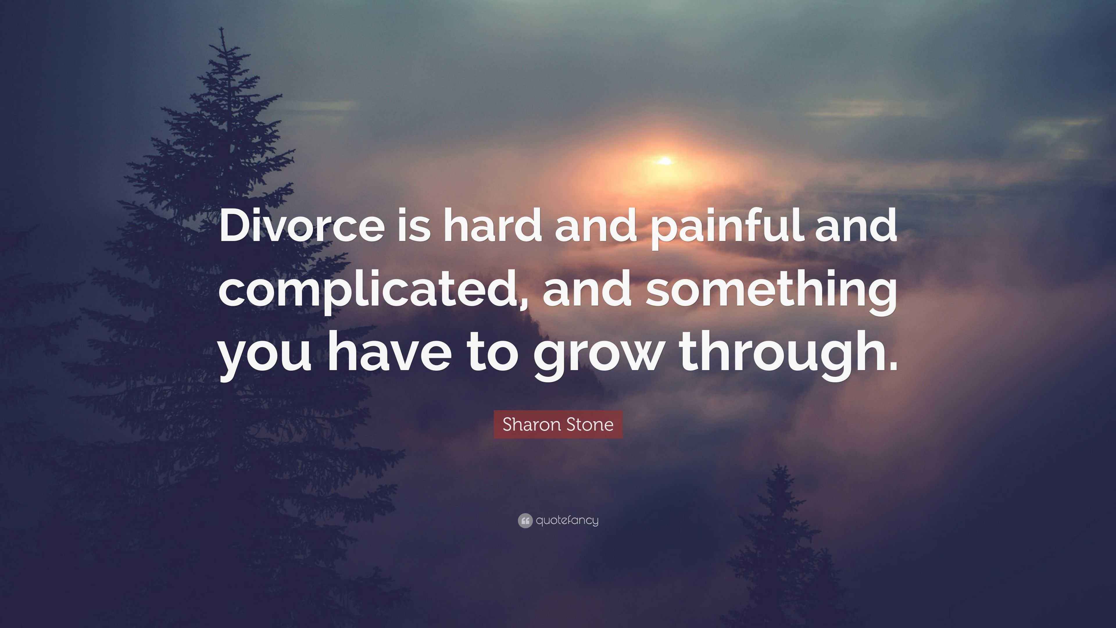 Sharon Stone Quote: “Divorce is hard and painful and complicated, and ...