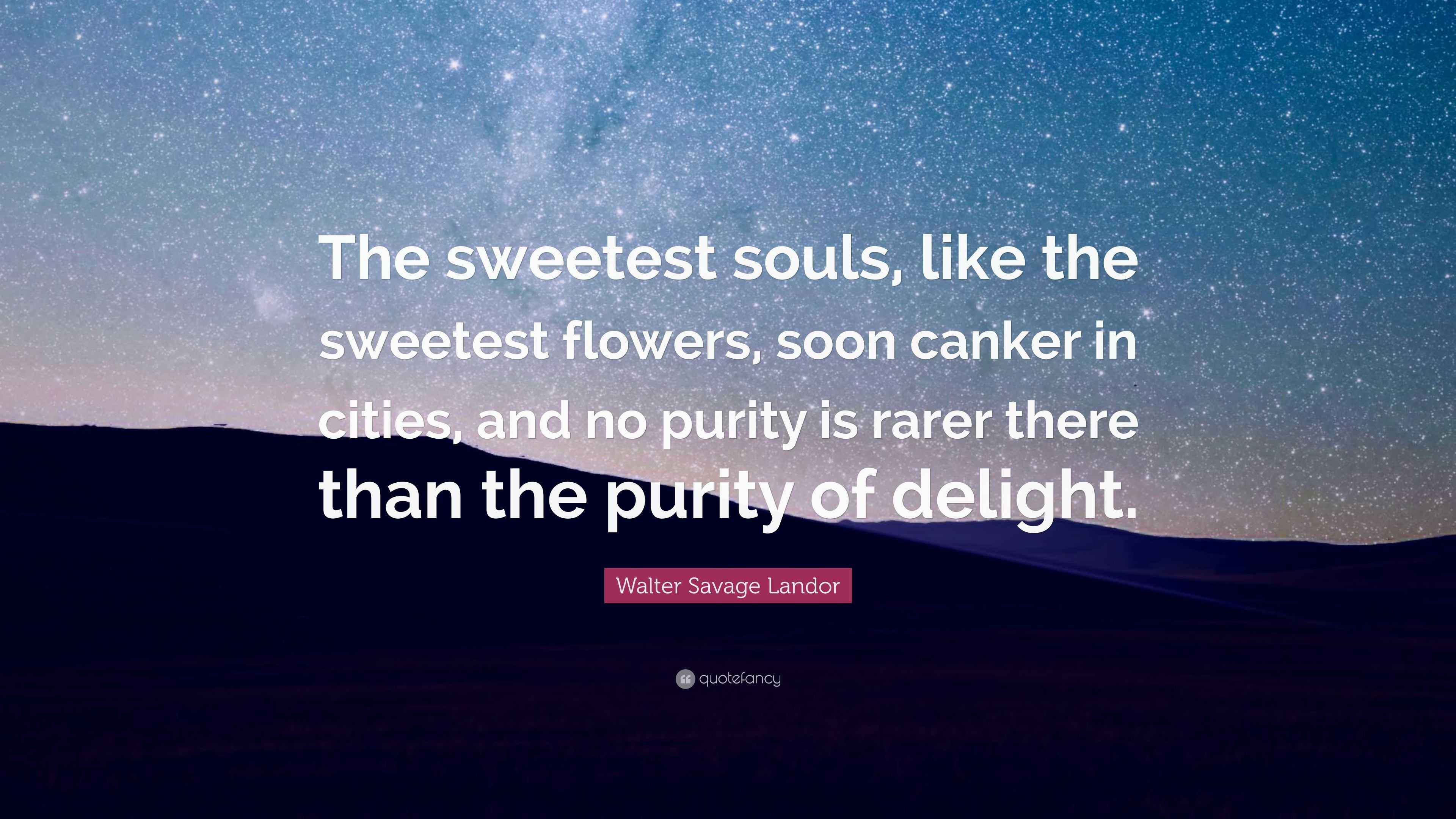 Walter Savage Landor Quote: “The sweetest souls, like the sweetest ...
