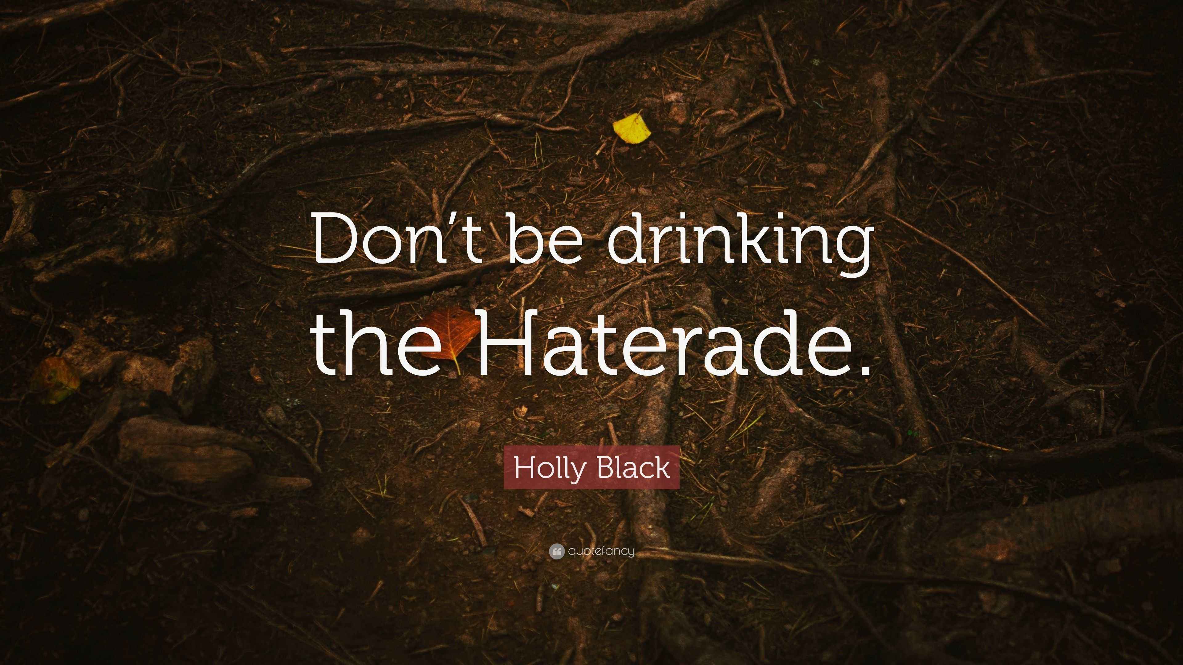 Holly Black Quote: “Don’t be drinking the Haterade.”