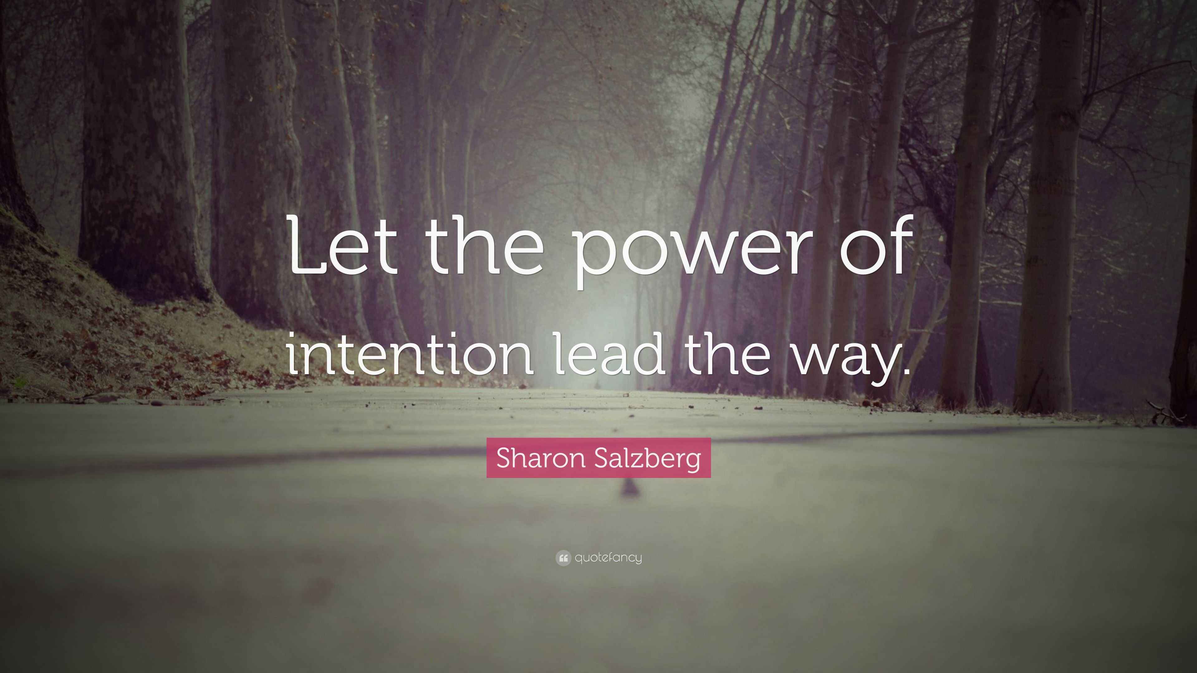 Sharon Salzberg Quote: “Let the power of intention lead the way.”