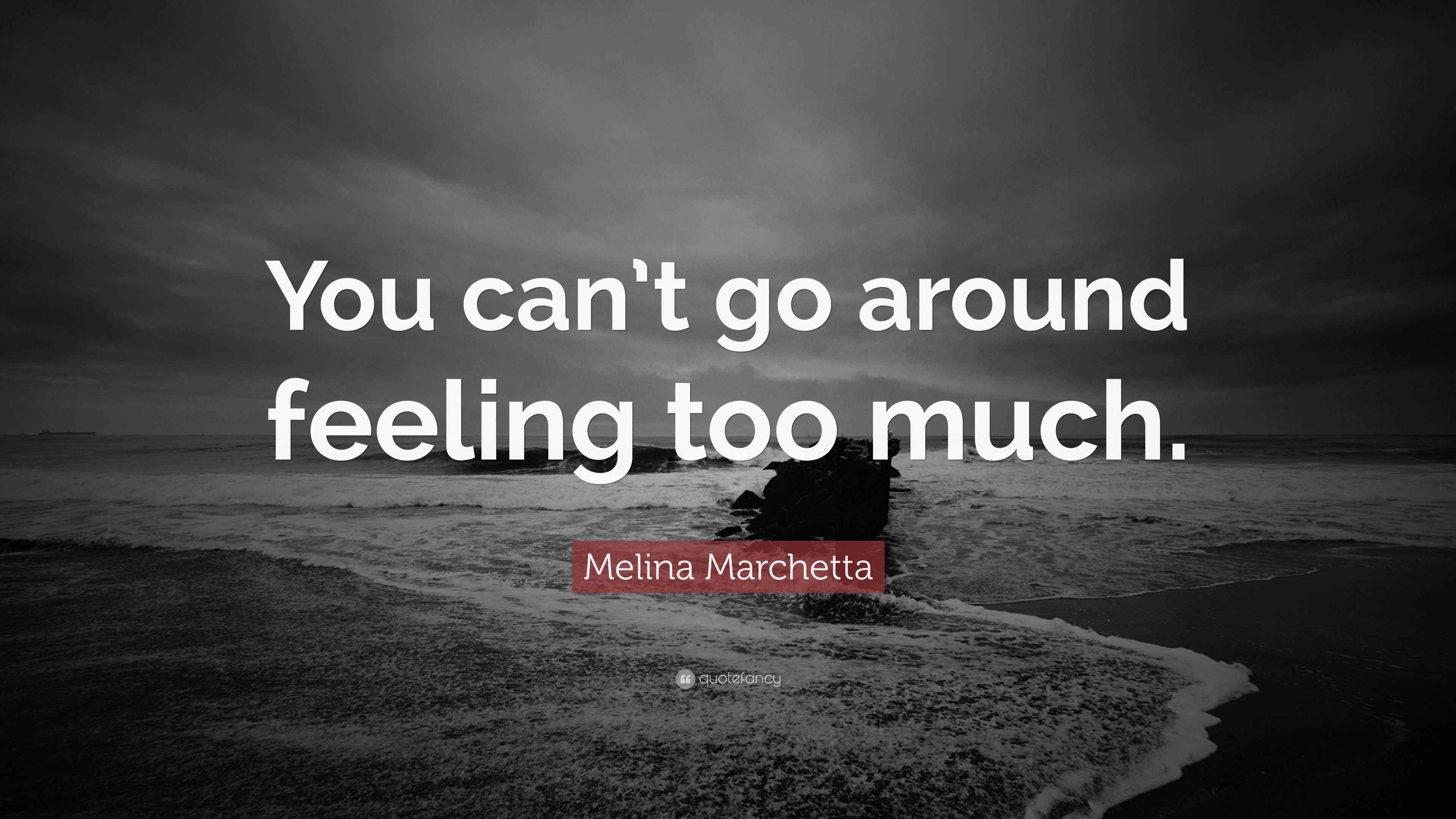 Melina Marchetta Quote: “You can’t go around feeling too much.”