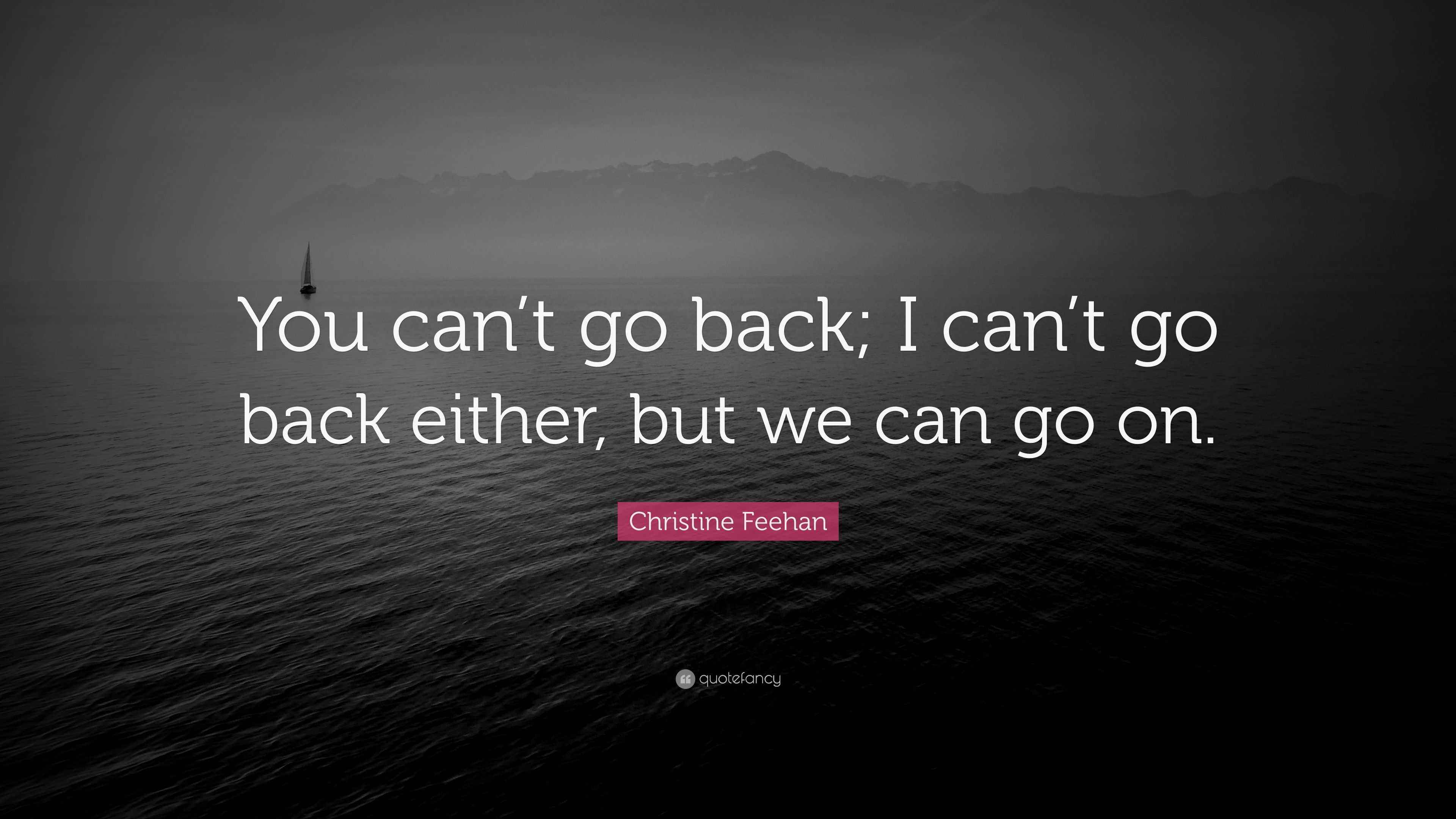 Christine Feehan Quote: “You can’t go back; I can’t go back either, but ...