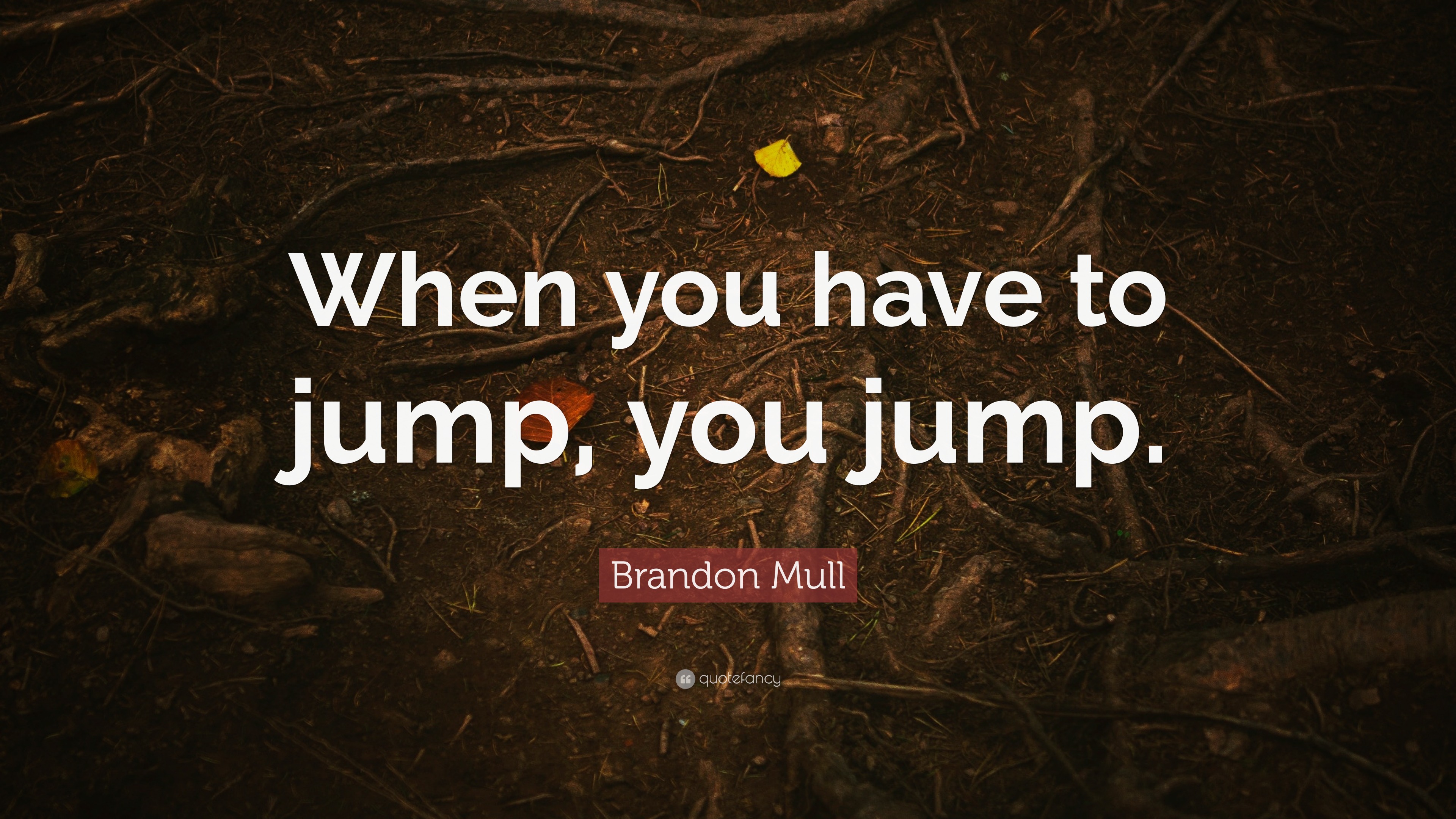 Brandon Mull Quote: “When you have to jump, you jump.”