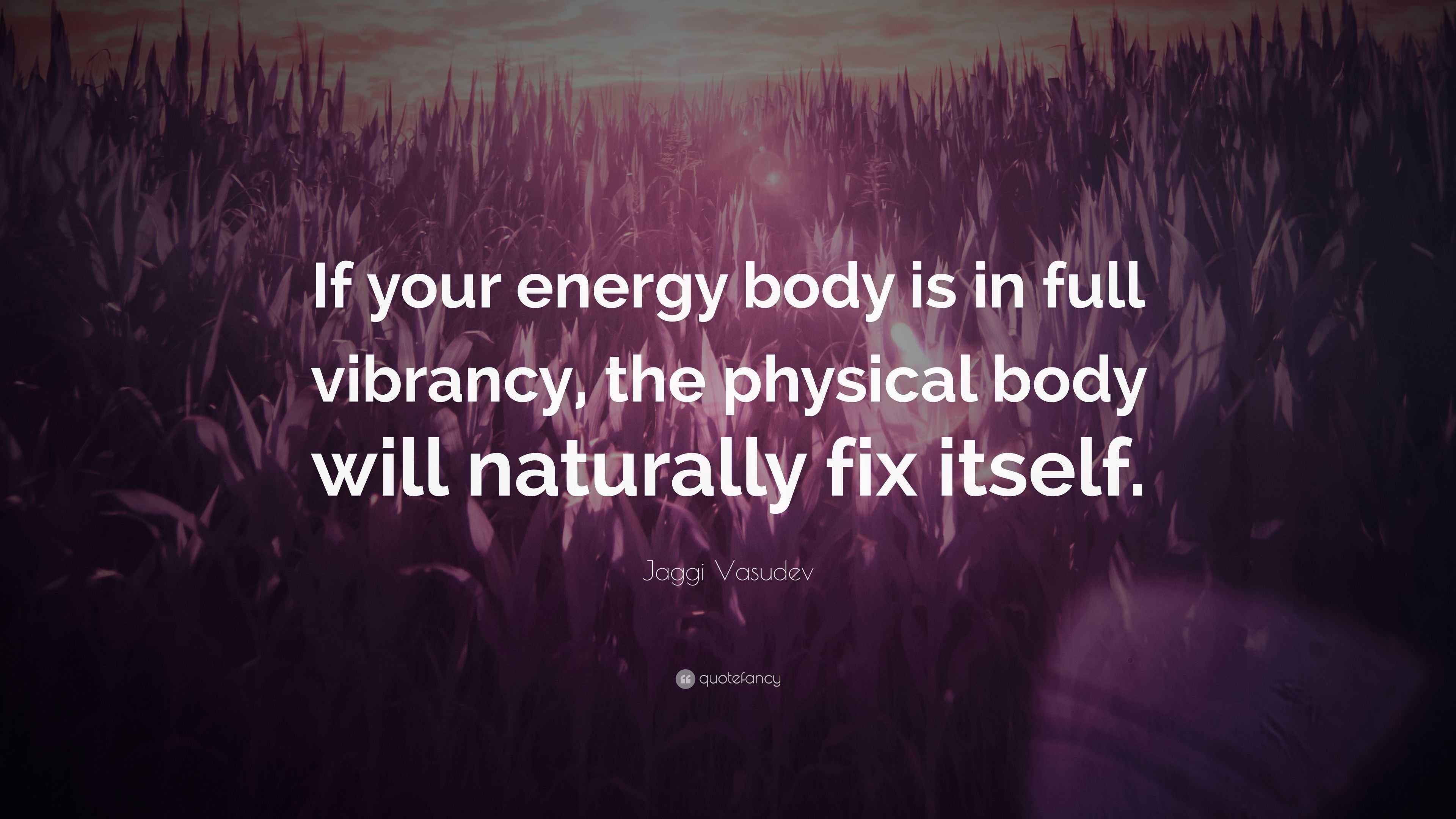 Jaggi Vasudev Quote: “If your energy body is in full vibrancy, the ...