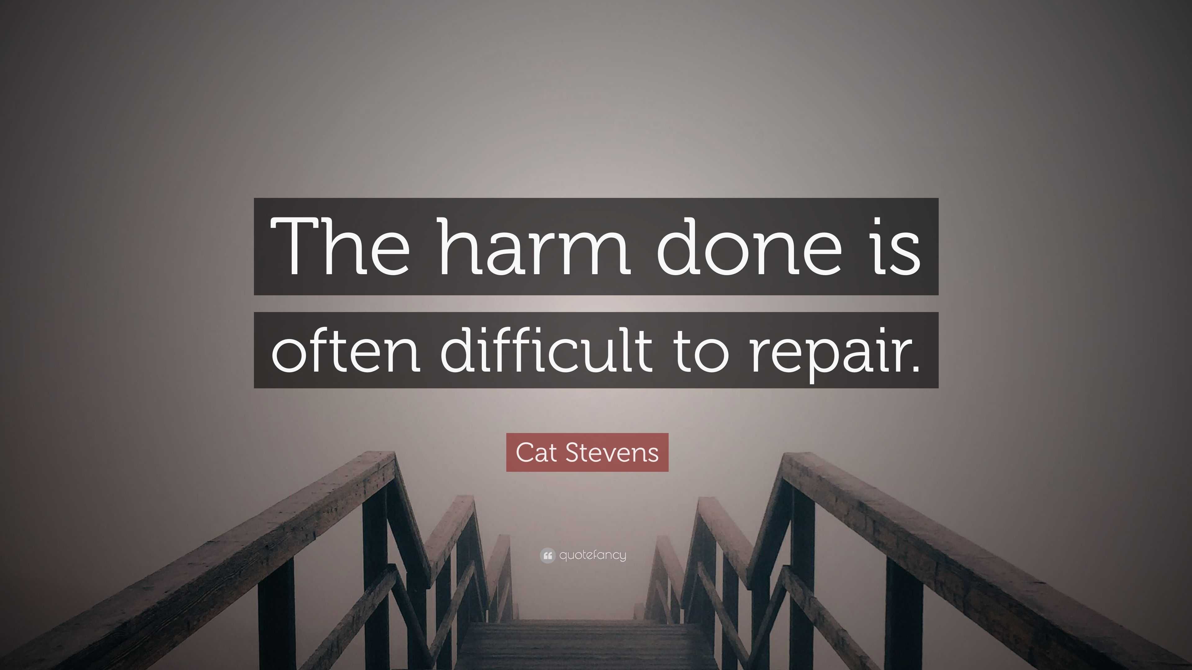 Cat Stevens Quote: “The harm done is often difficult to repair.”