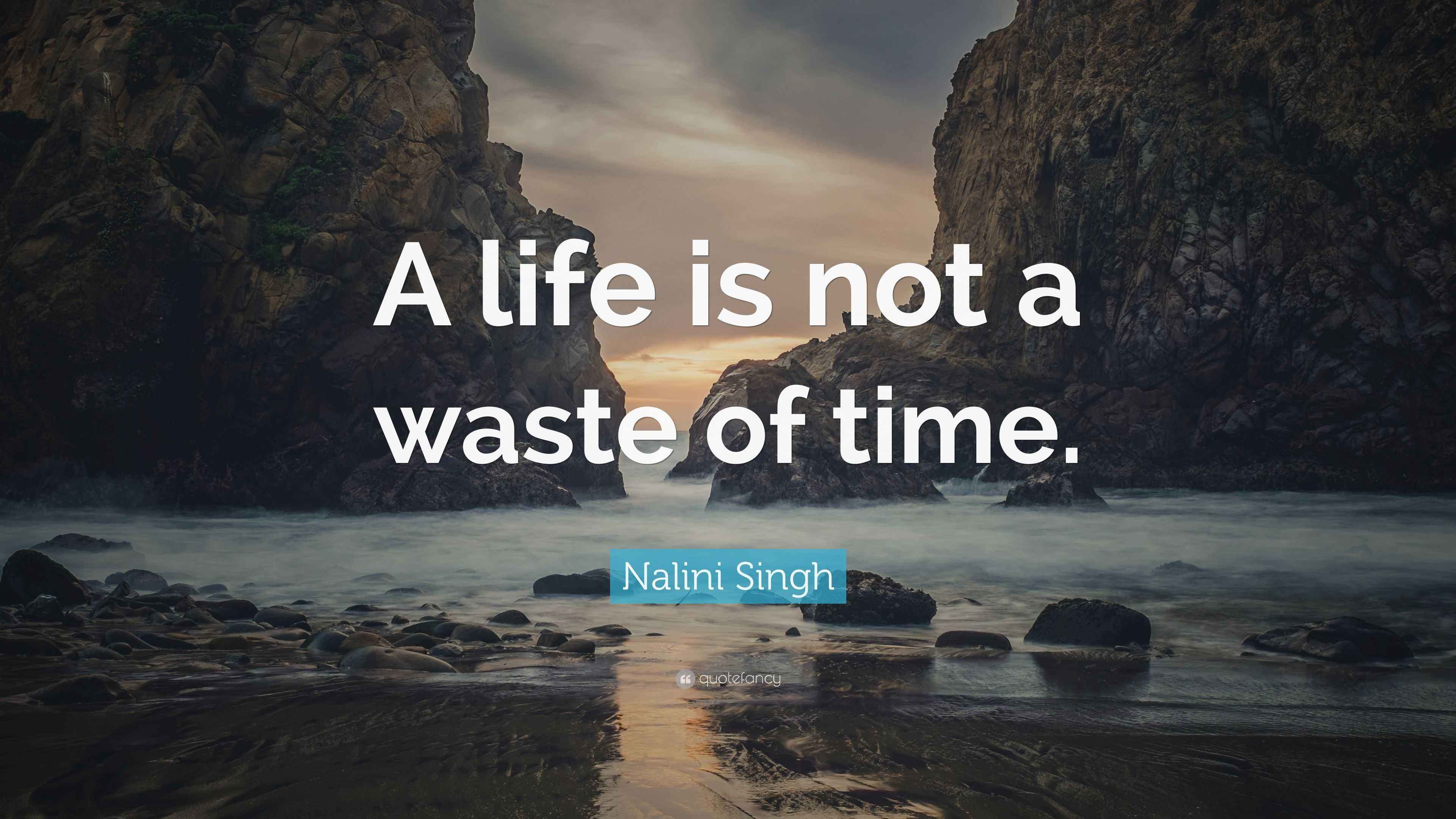 Nalini Singh Quote: “A life is not a waste of time.”