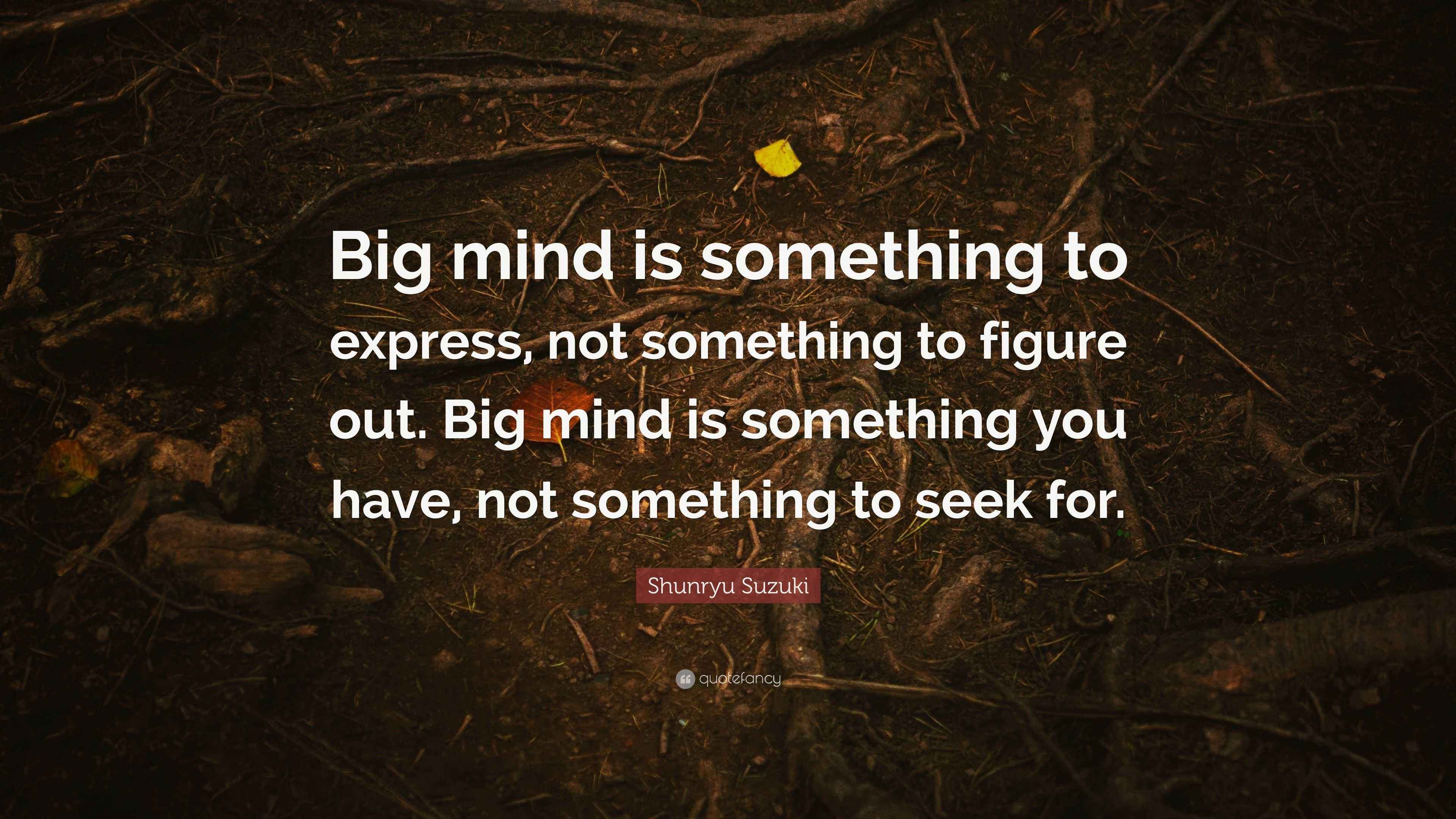 Shunryu Suzuki Quote: “Big mind is something to express, not something ...