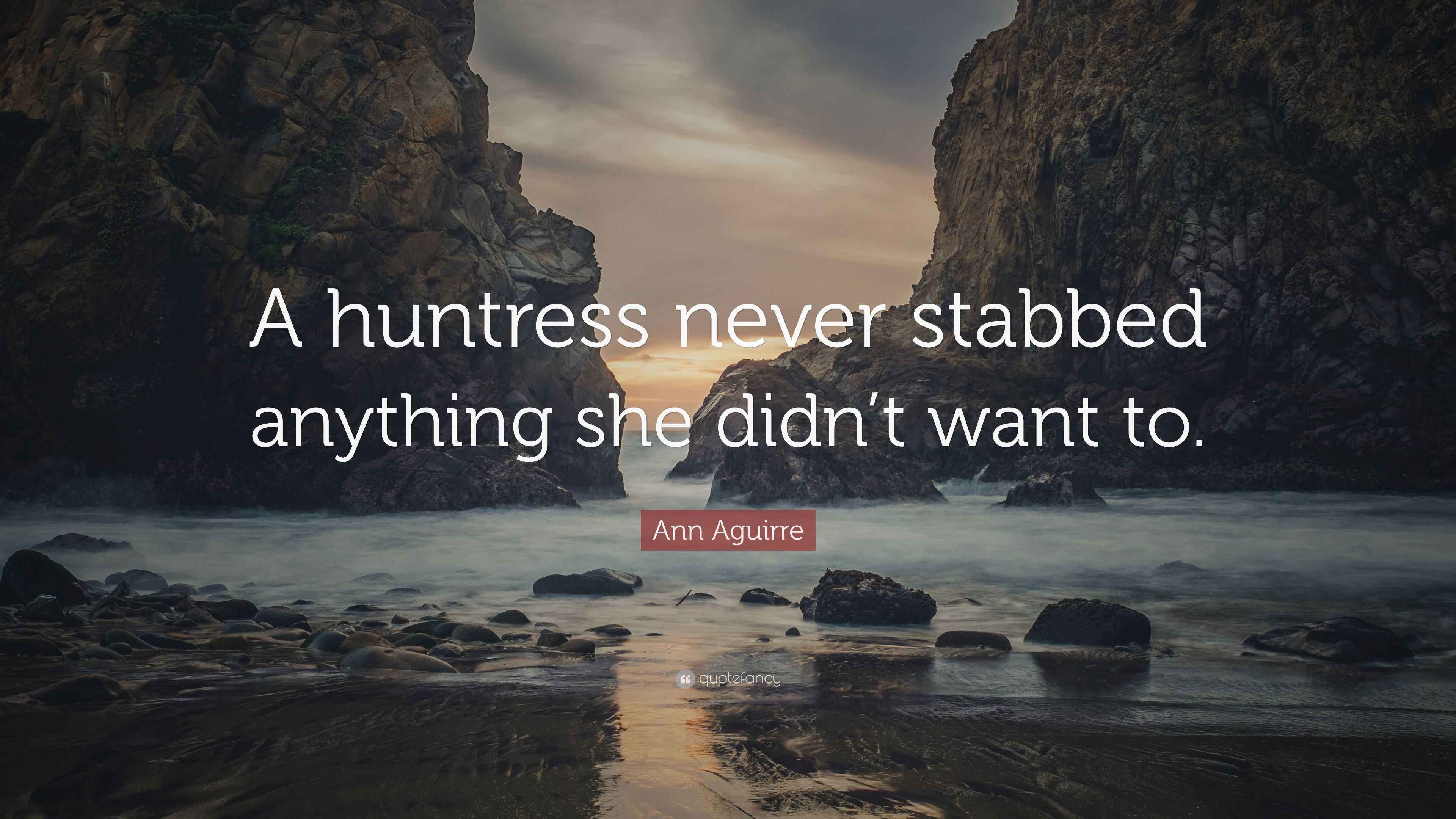 Ann Aguirre Quote: “A huntress never stabbed anything she didn’t want to.”