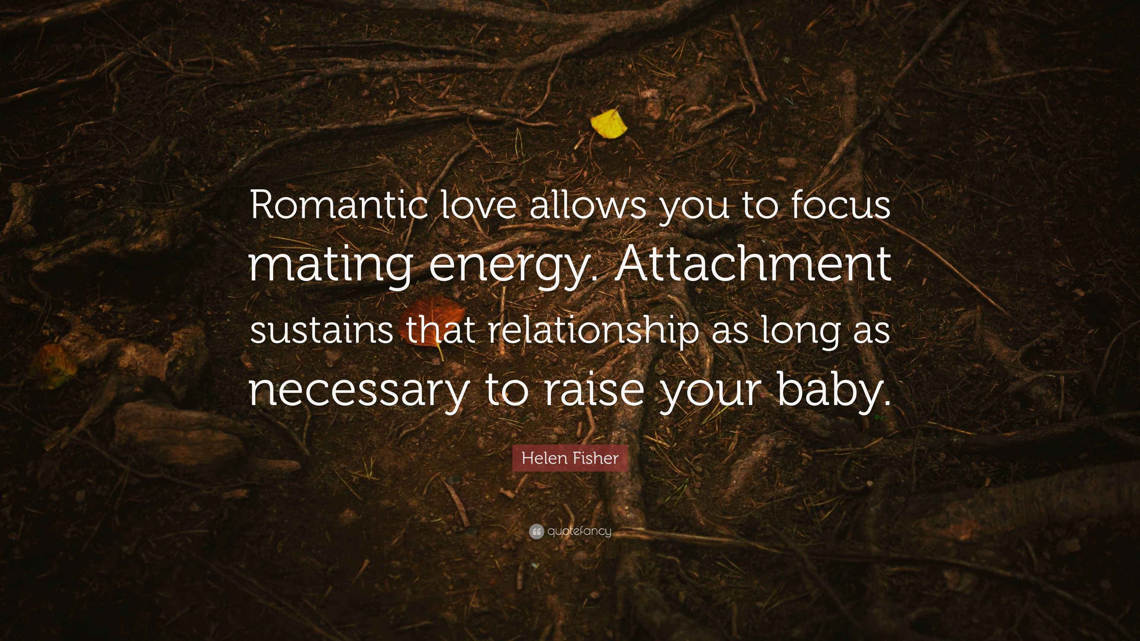 Helen Fisher Quote: “Romantic love allows you to focus mating energy ...