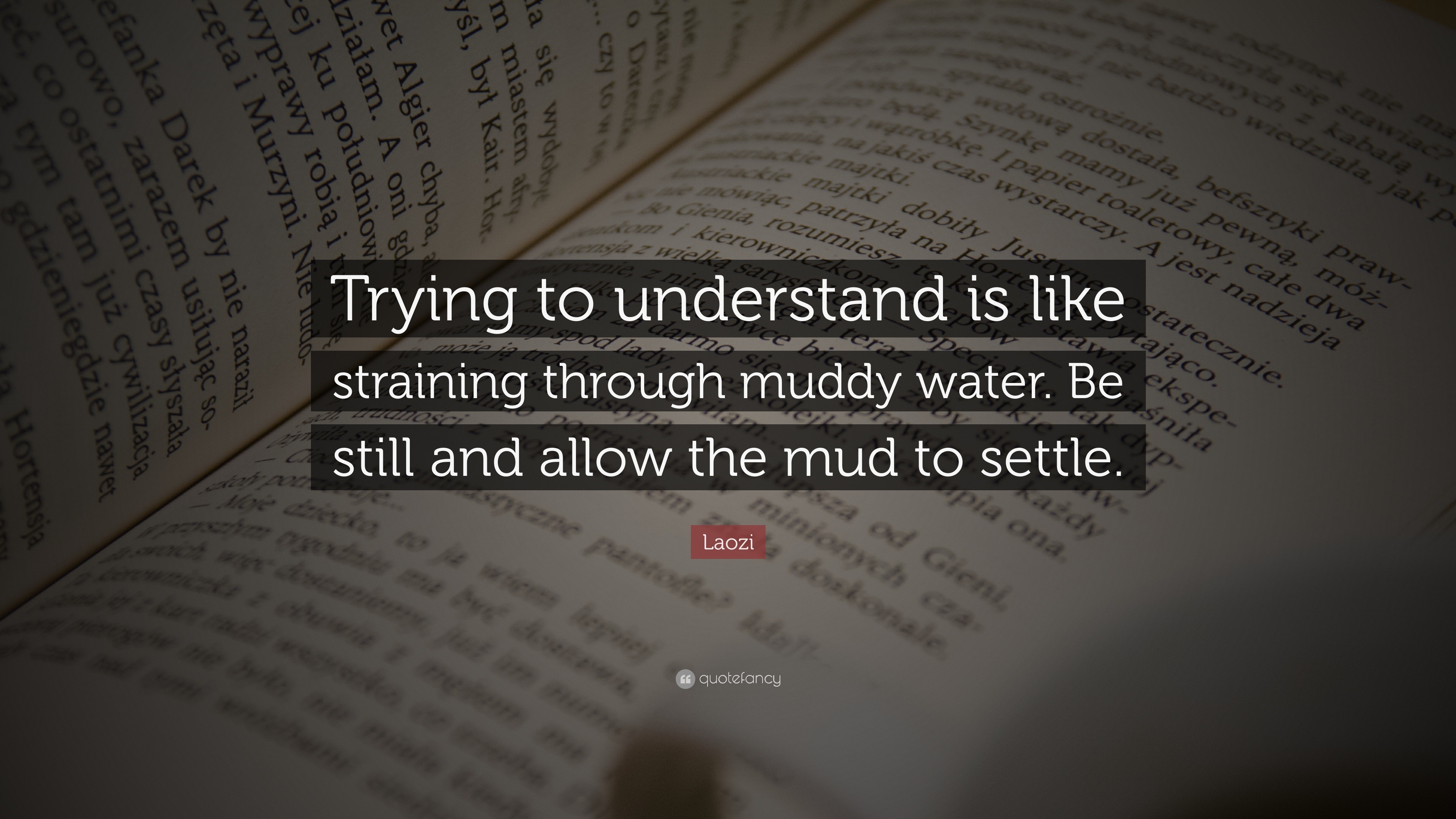 Laozi Quote: “Trying to understand is like straining through muddy ...