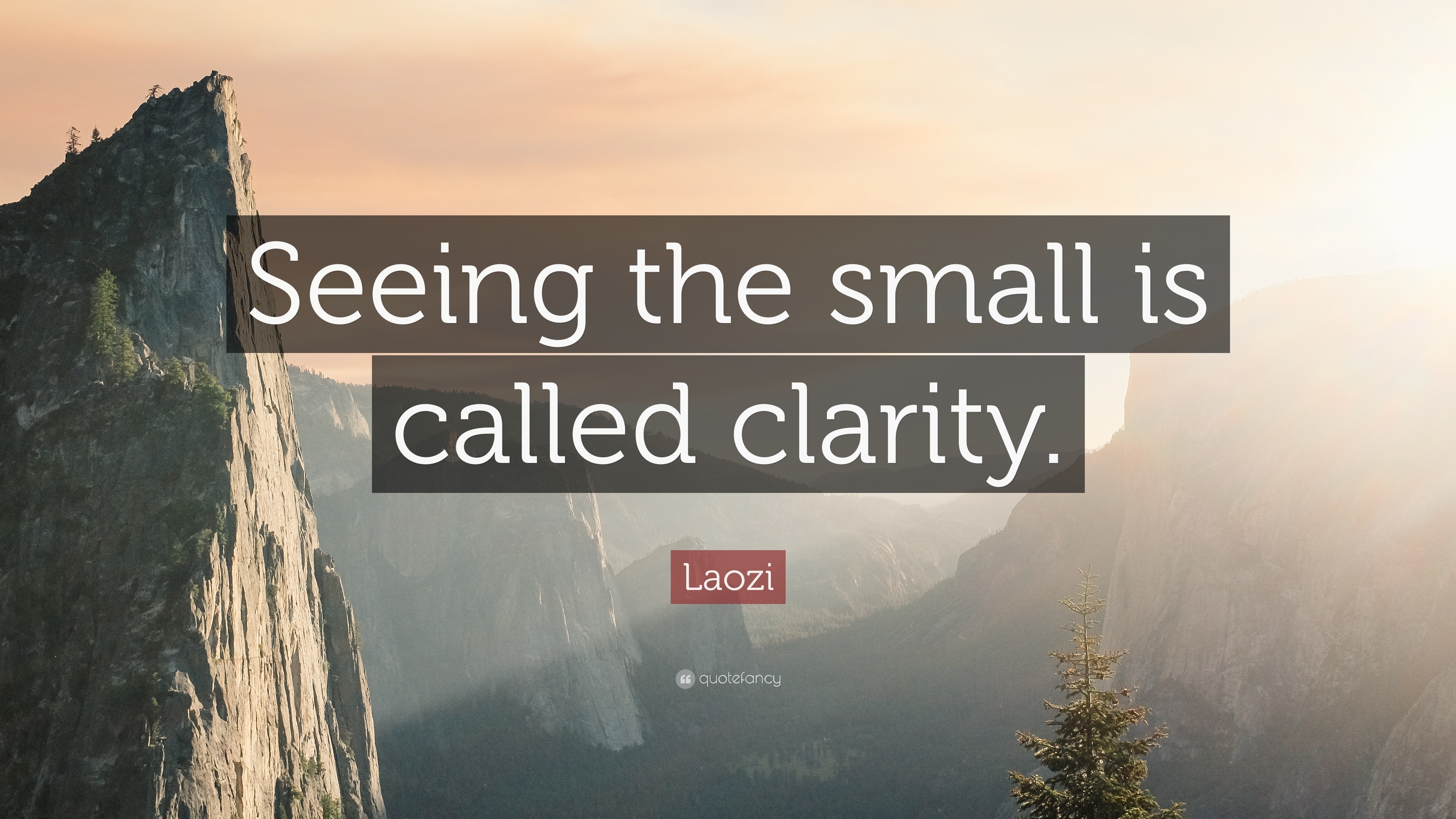 Laozi Quote: “Seeing the small is called clarity.”