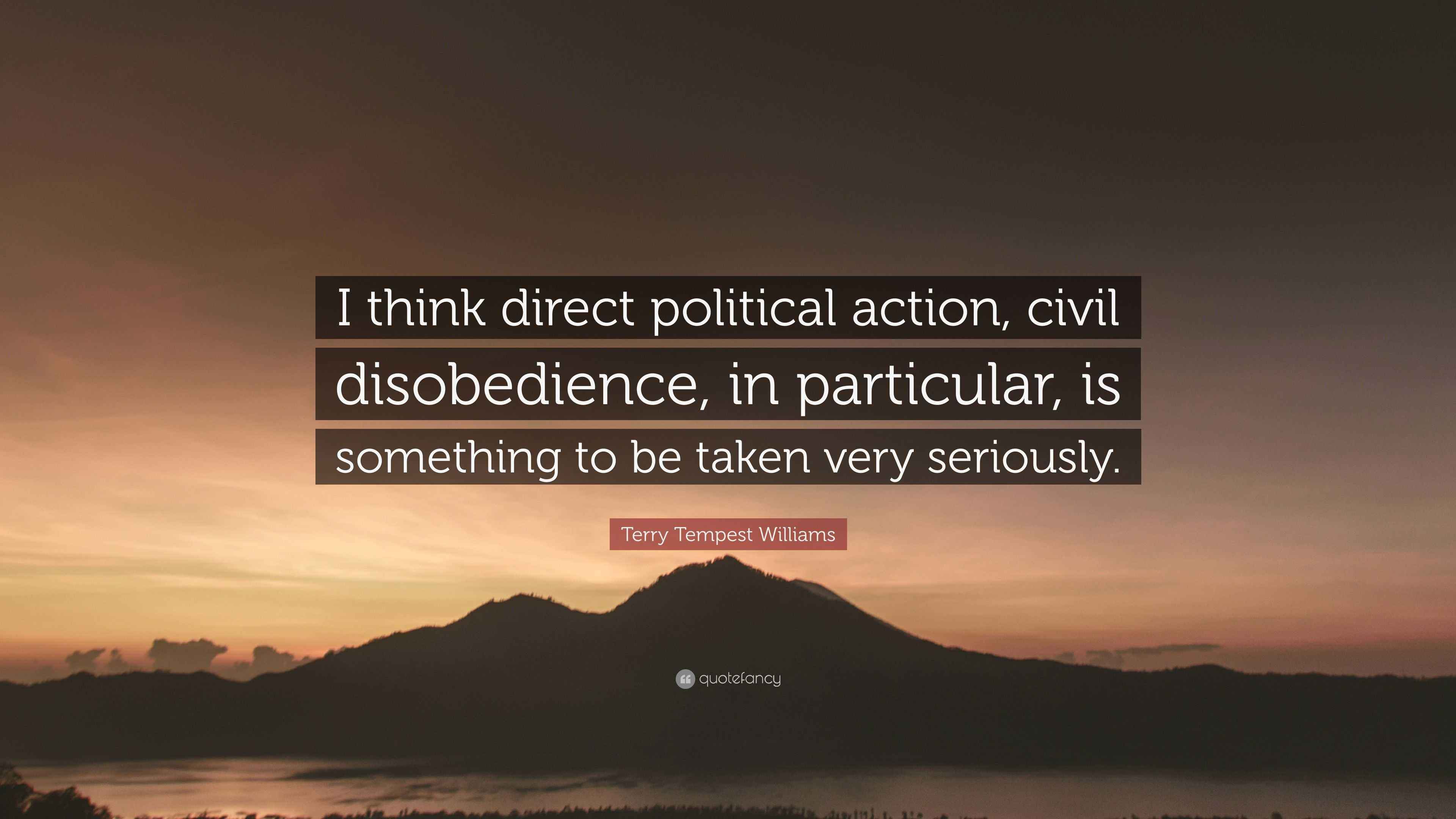 Terry Tempest Williams Quote: “I think direct political action, civil ...