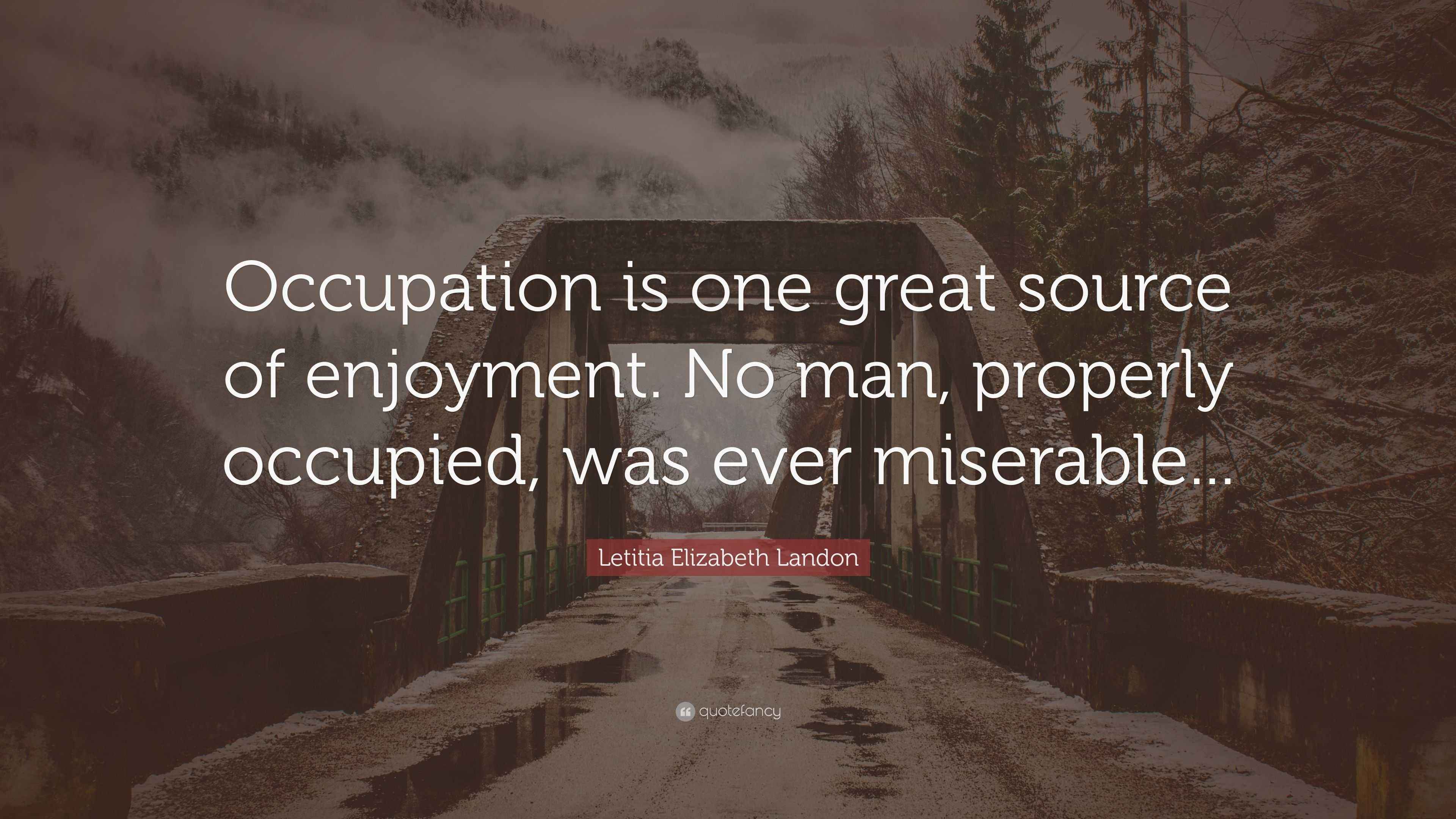 Letitia Elizabeth Landon Quote: “Occupation is one great source of ...