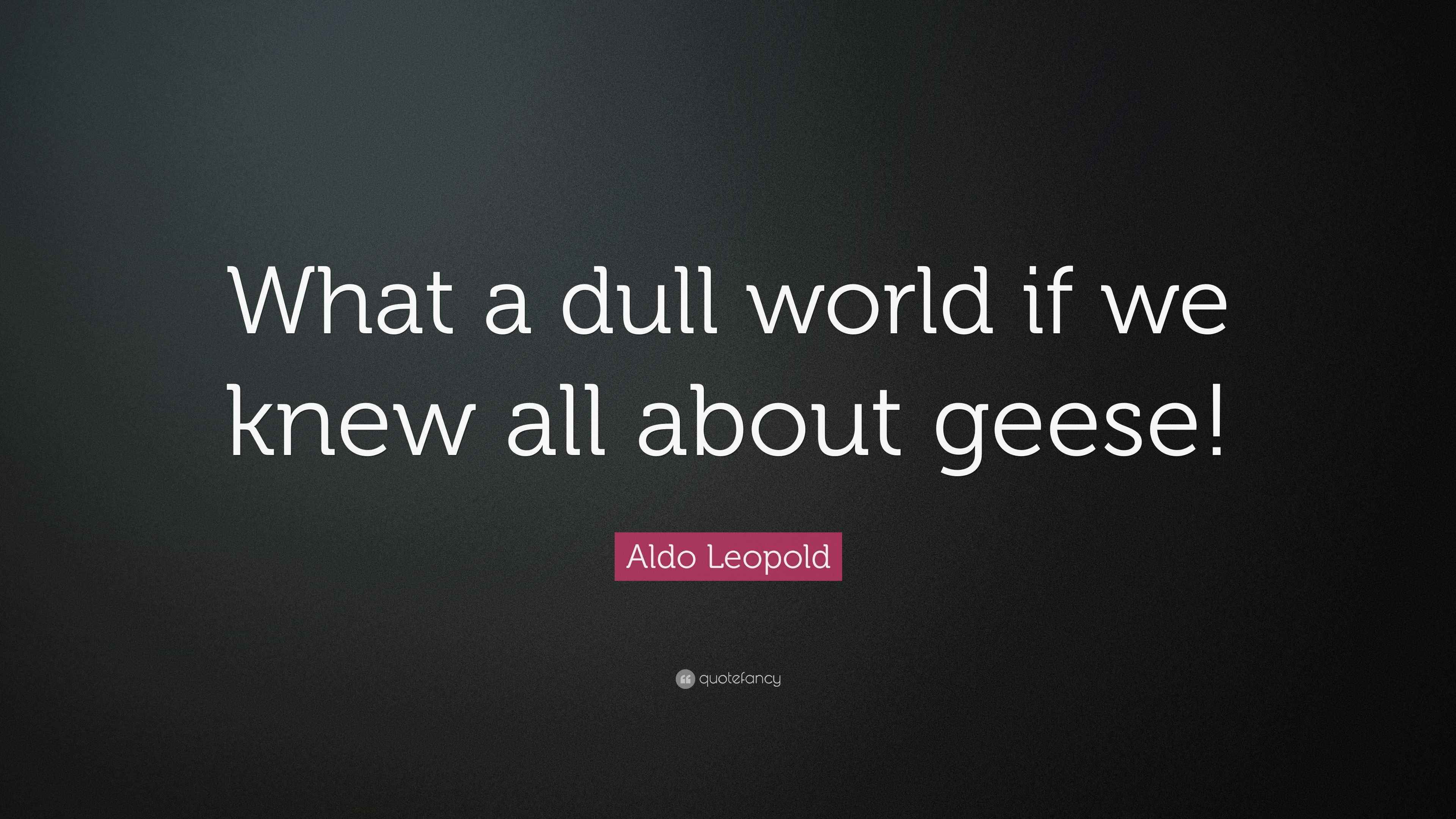 Aldo Leopold Quote: “What a dull world if we knew all about geese!”