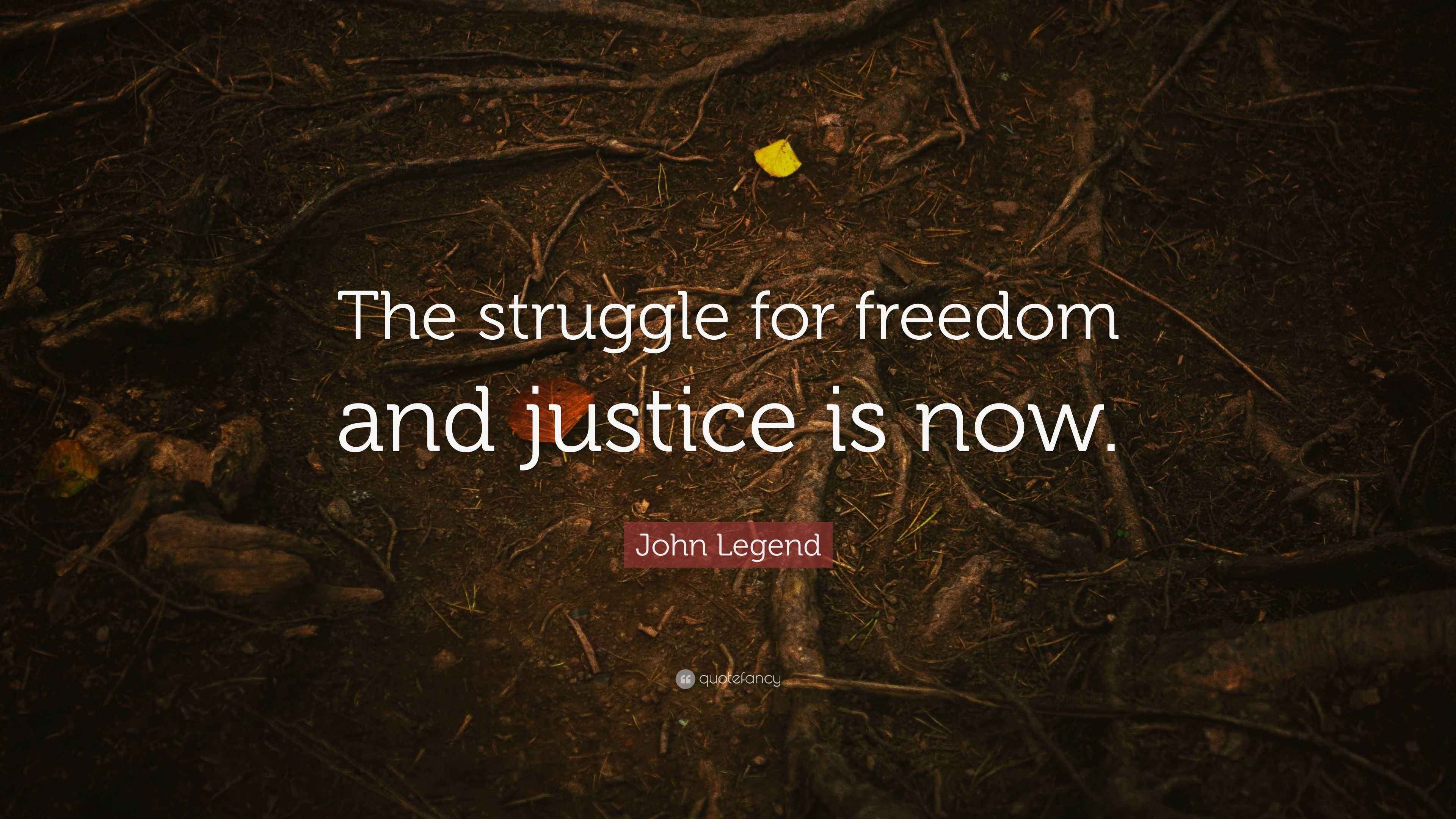 John Legend Quote: “The struggle for freedom and justice is now.”