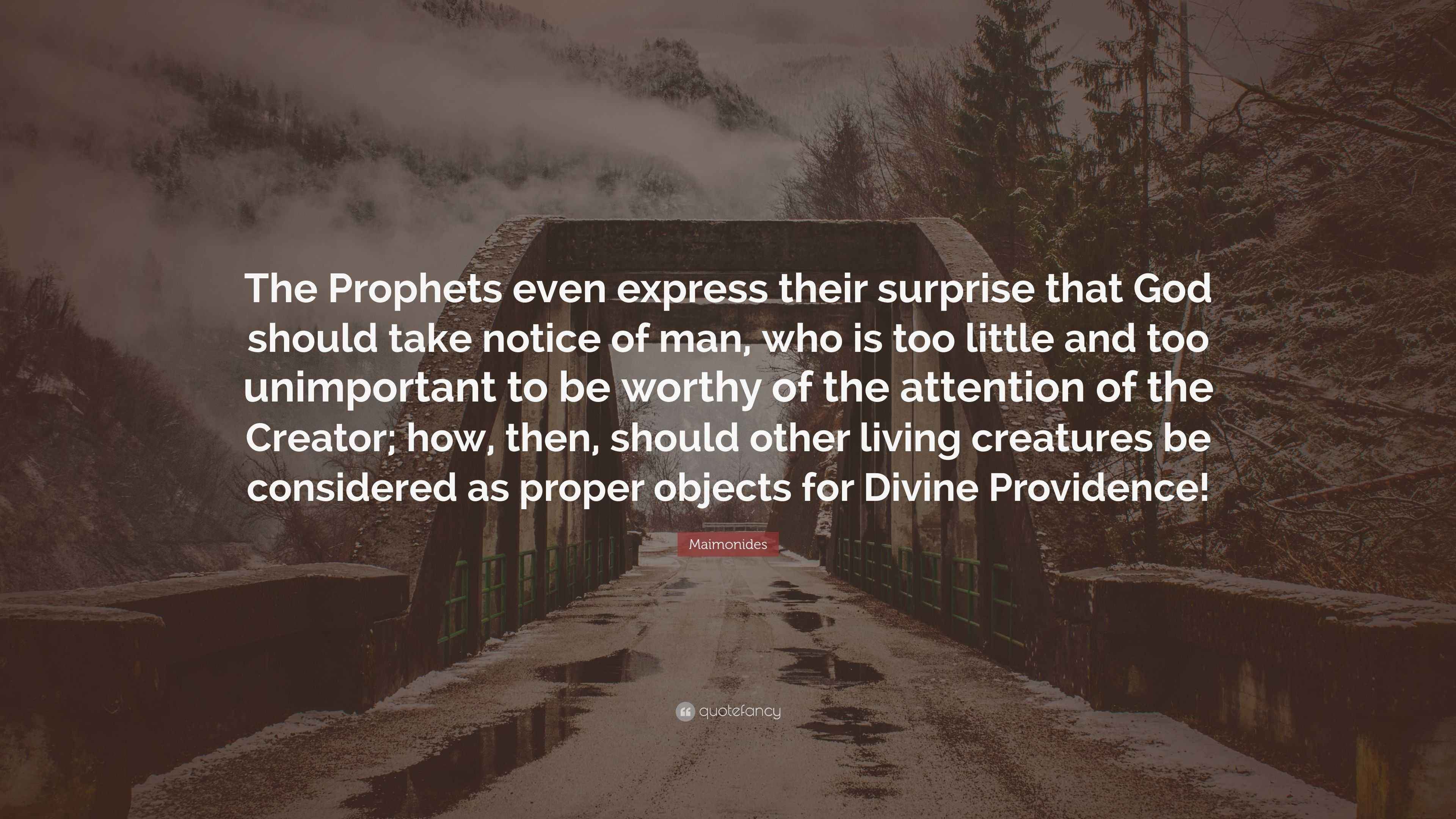 Maimonides Quote: “The Prophets even express their surprise that God ...