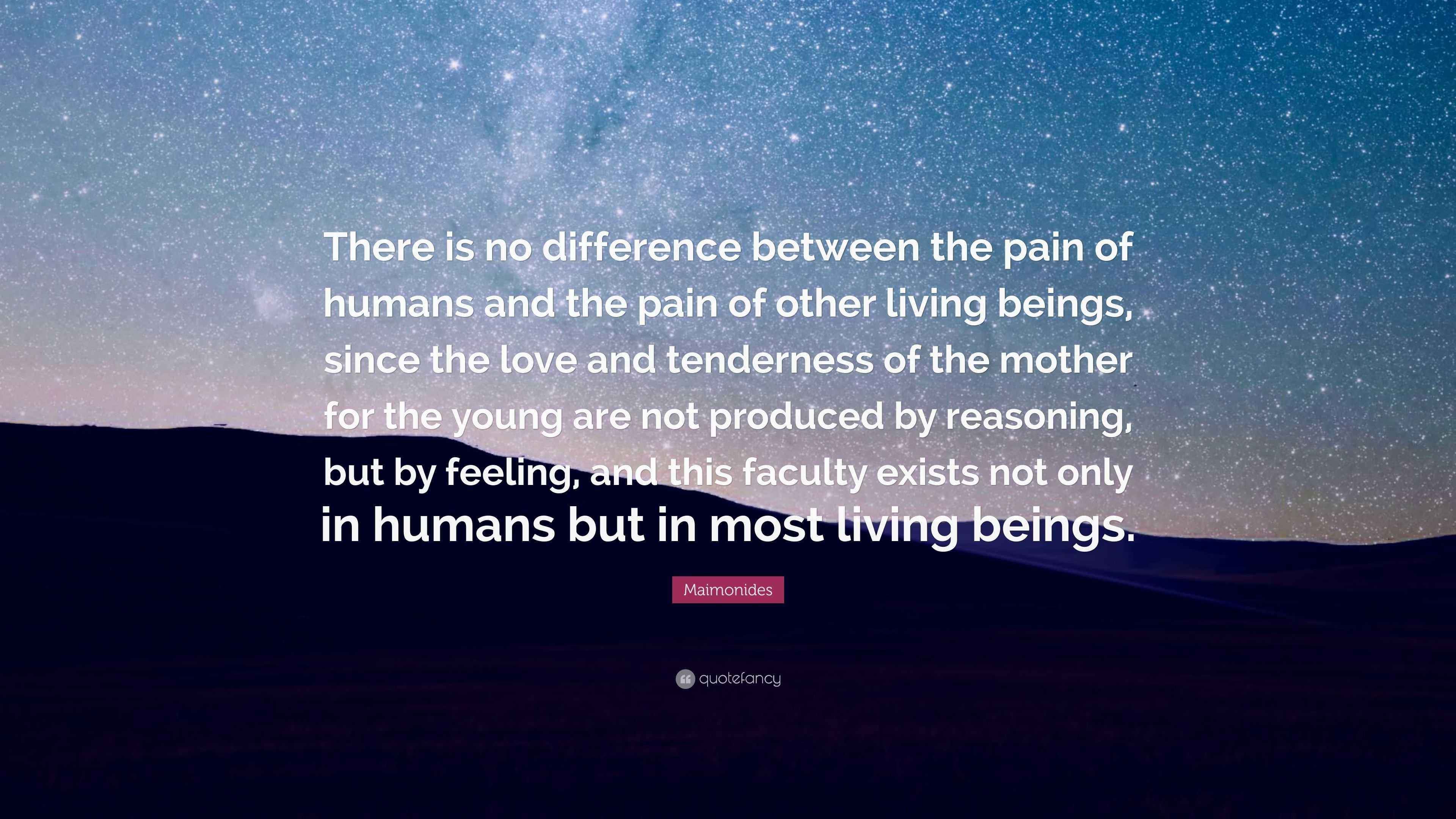 Maimonides Quote: “There is no difference between the pain of humans ...