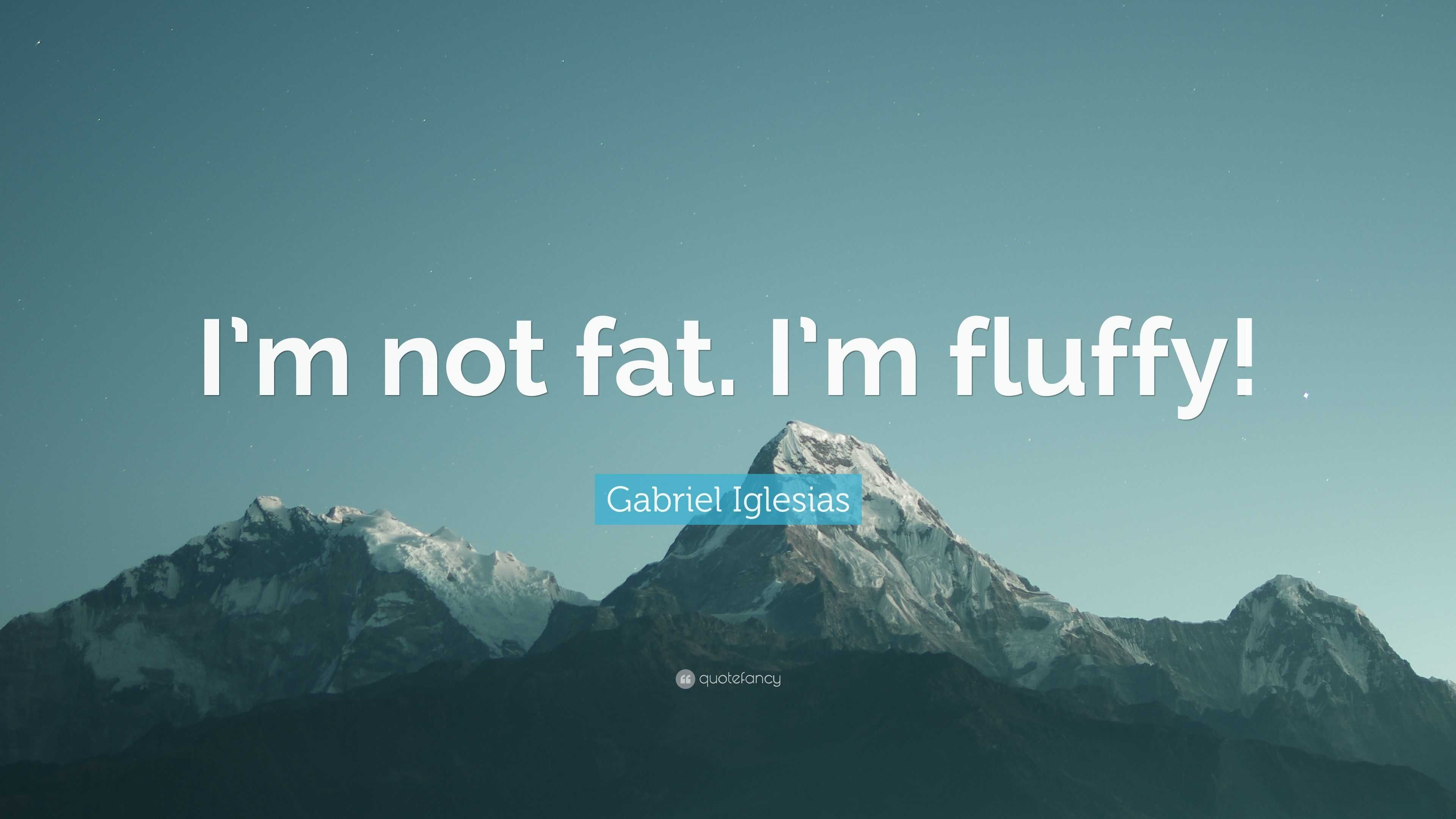 Gabriel Iglesias Quote: “I’m not fat. I’m fluffy!”